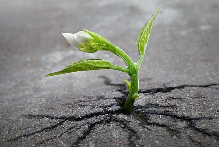 Faith Among the Fractures (II) - by Mark Clavier