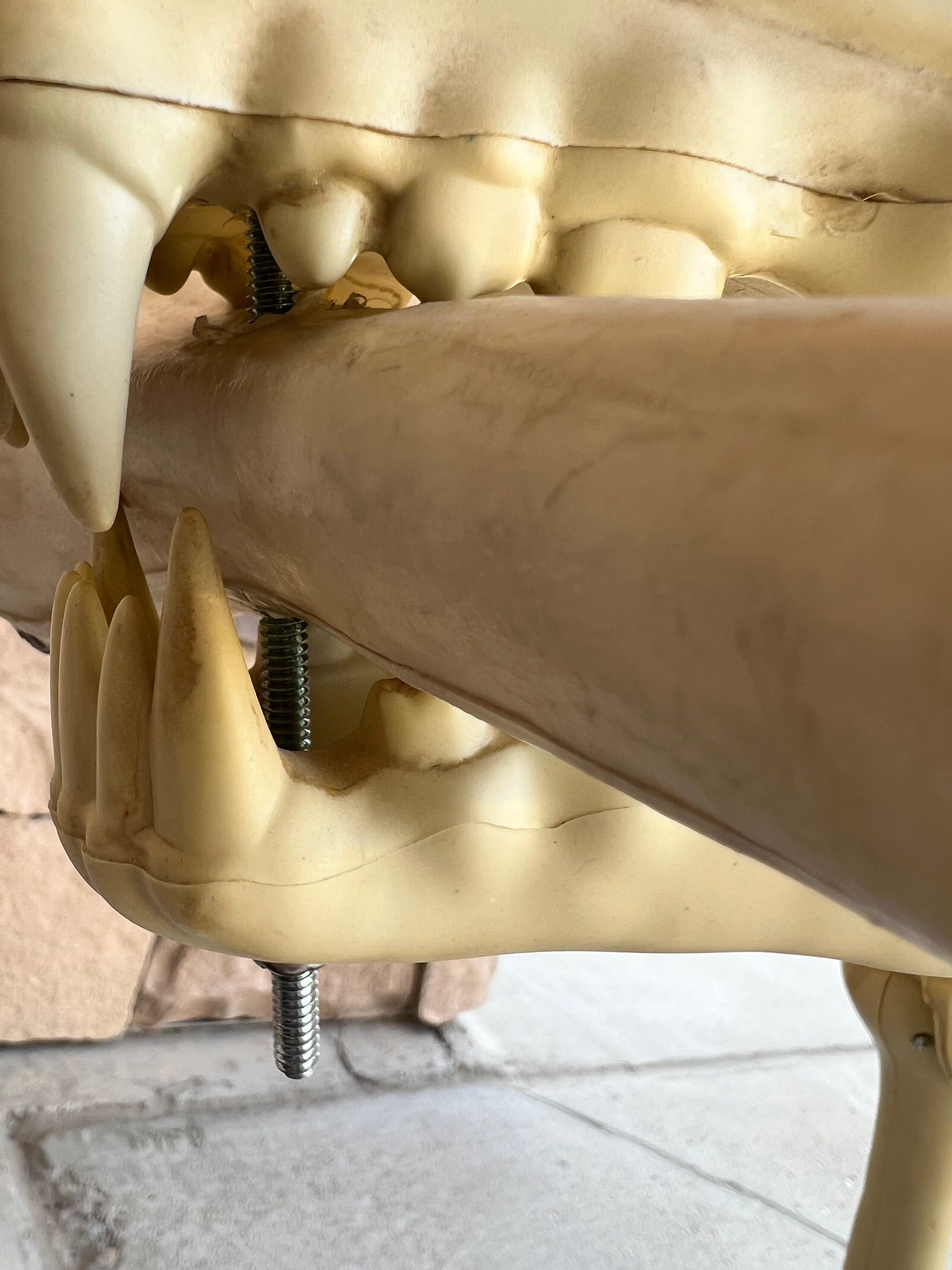 #2: Dog Pulling My Leg Prop - Haunt Makers