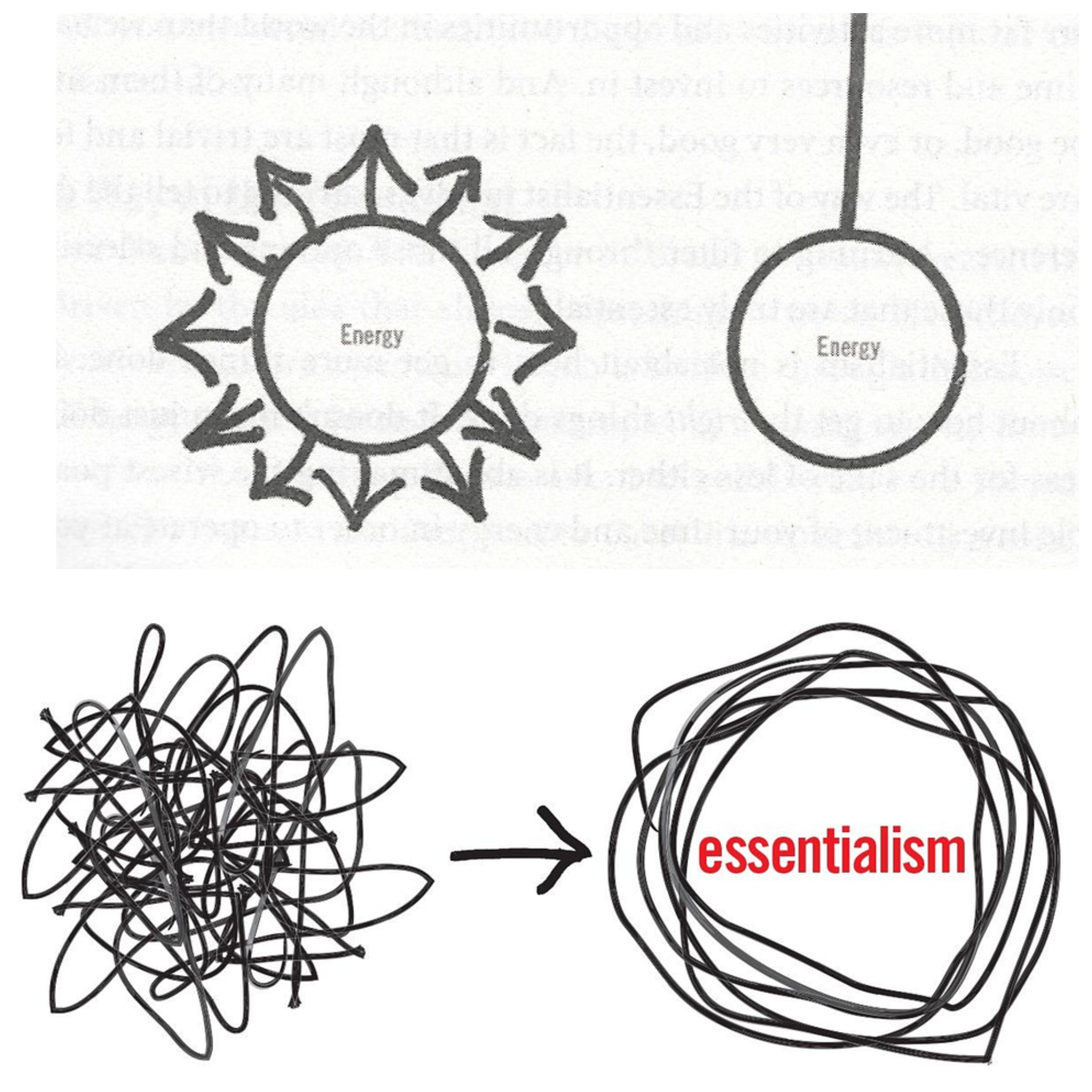 Book Review # Essentialism - 1minuteproductivity’s Substack