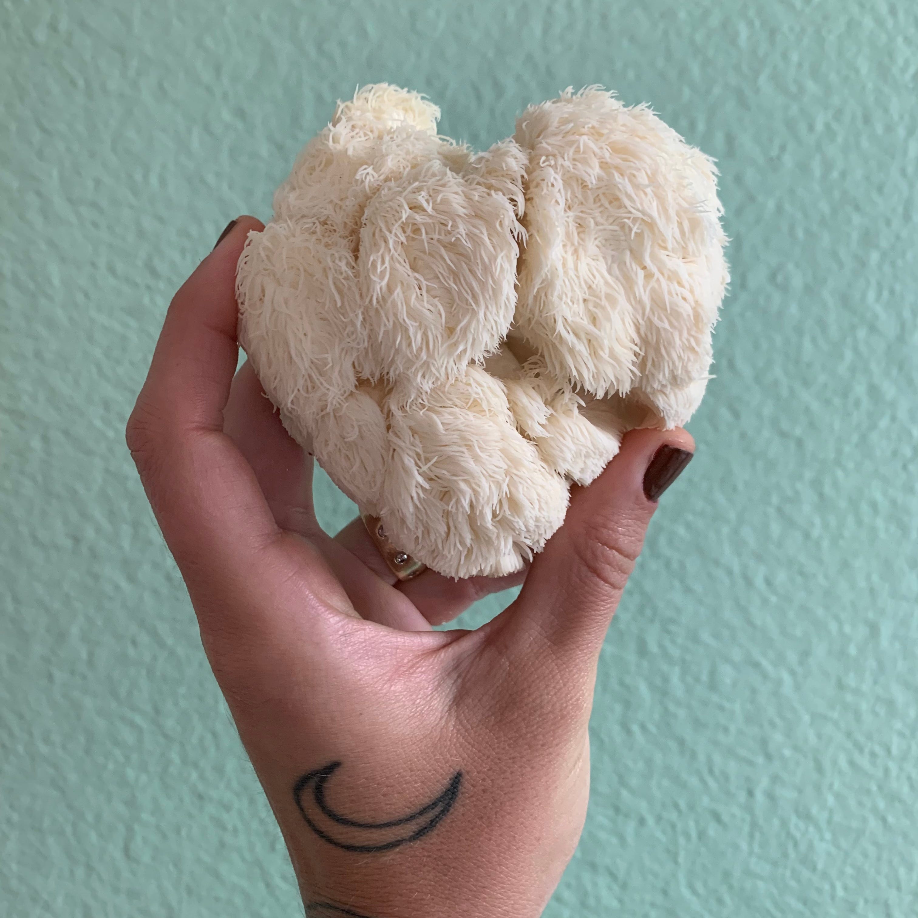 Feed Your Magic/Moon Food: Savory Mushroom Oatmeal