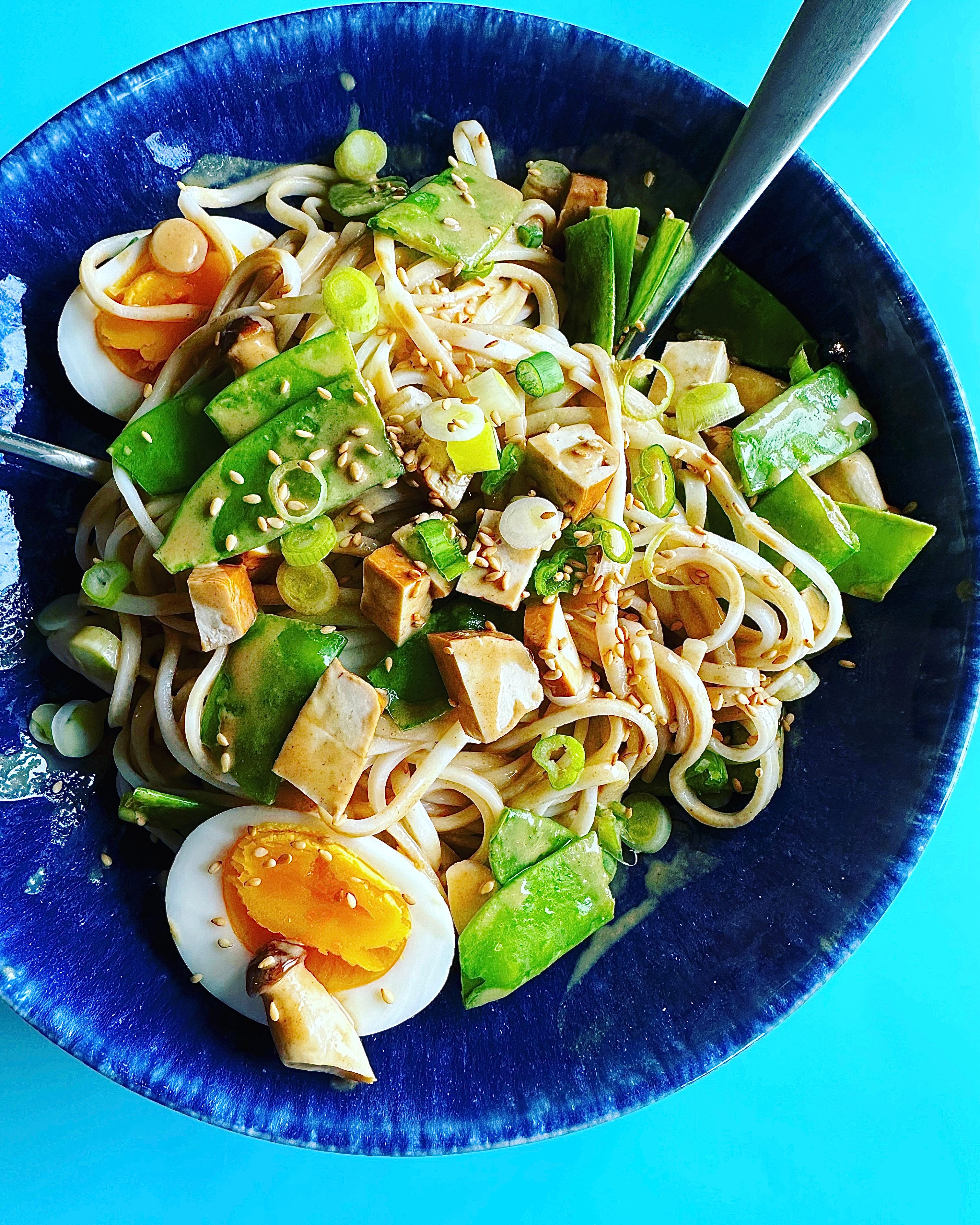 That Noodle Salad We Promised - by emily nunn