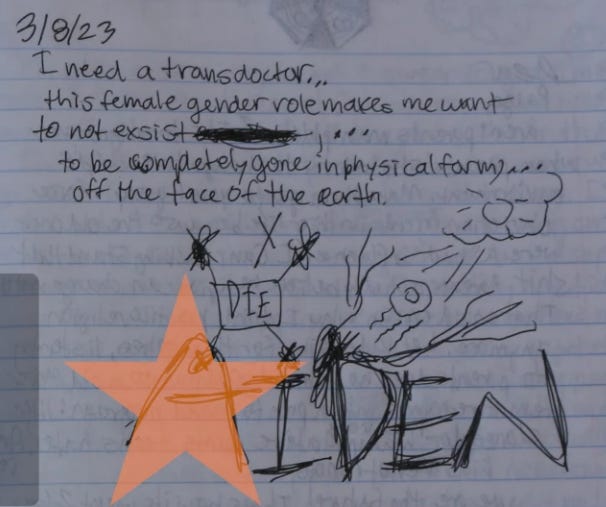 Audrey Hale's Imaginary Penis - by phil illy