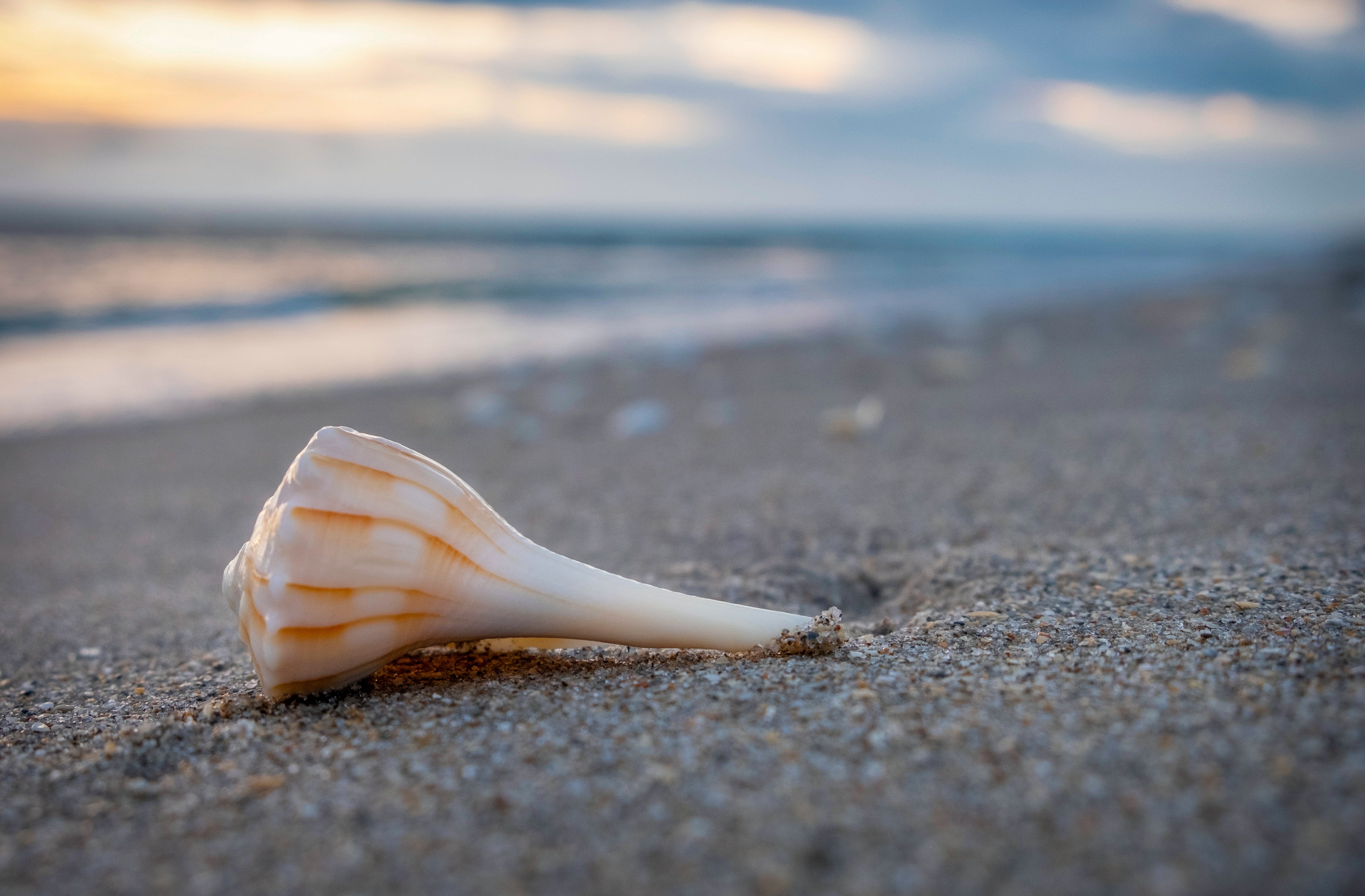 Spring Break Flights - A Look Back at Huge Savings!