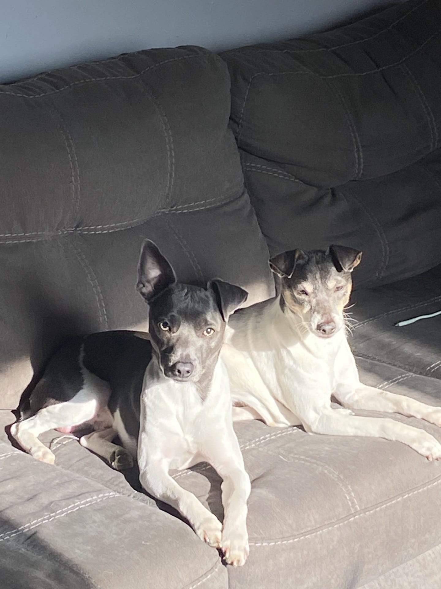 In Brief - by Mary Yungeberg - Mary’s Substack