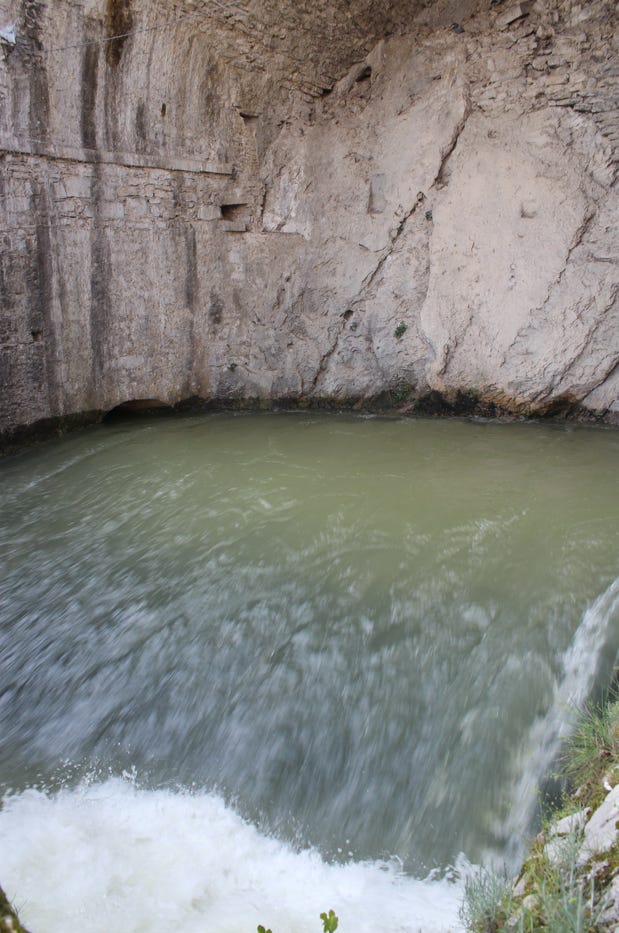 In search of the source: a personal journey against the flow | winter oak