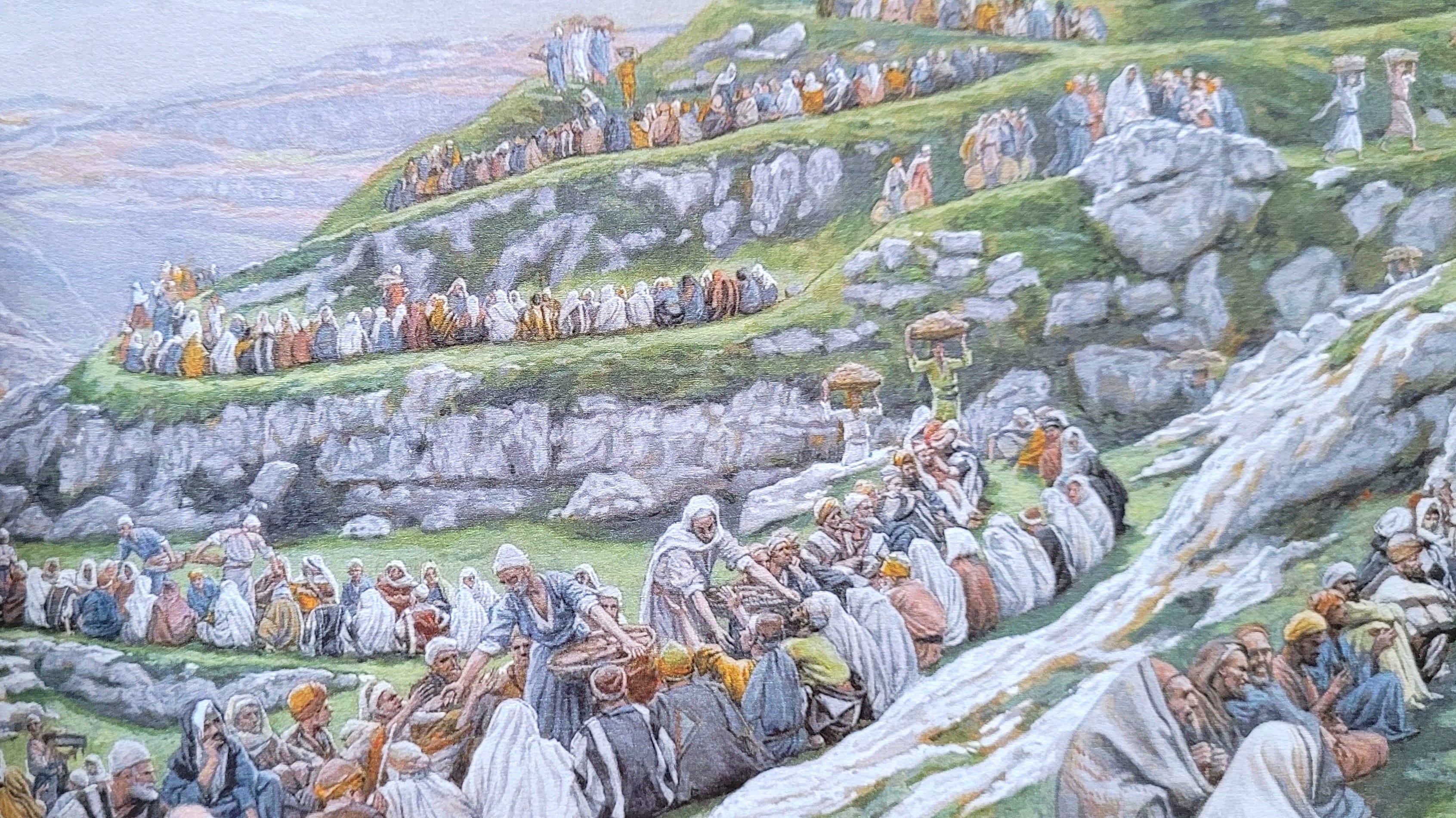 What does the multiplication of loaves teach about the Church and the ...