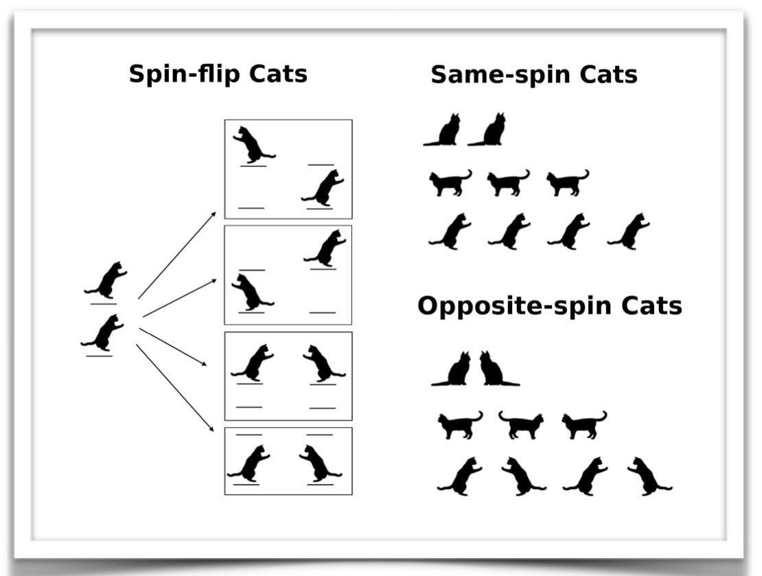 Chemistry with Cats - by Anna Krylov and Jay Tanzman