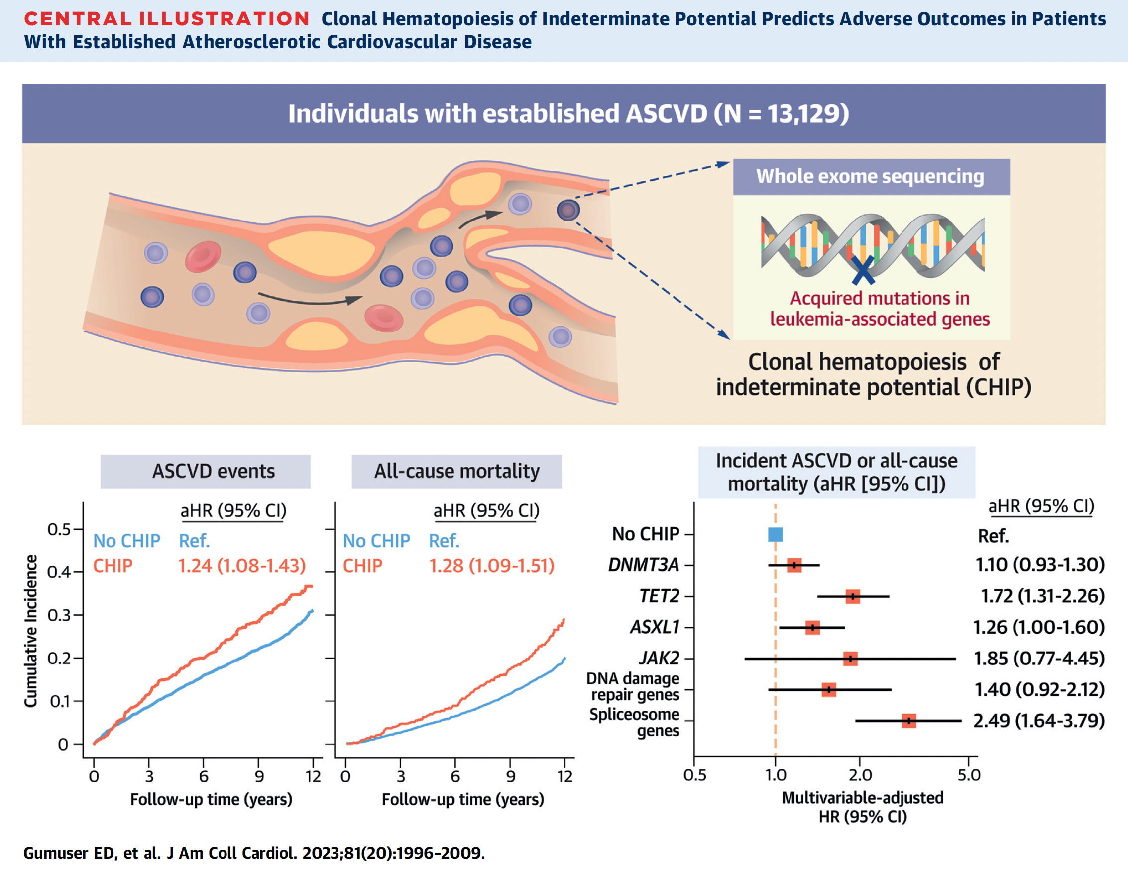 The under-appreciation of CHIP - by Eric Topol