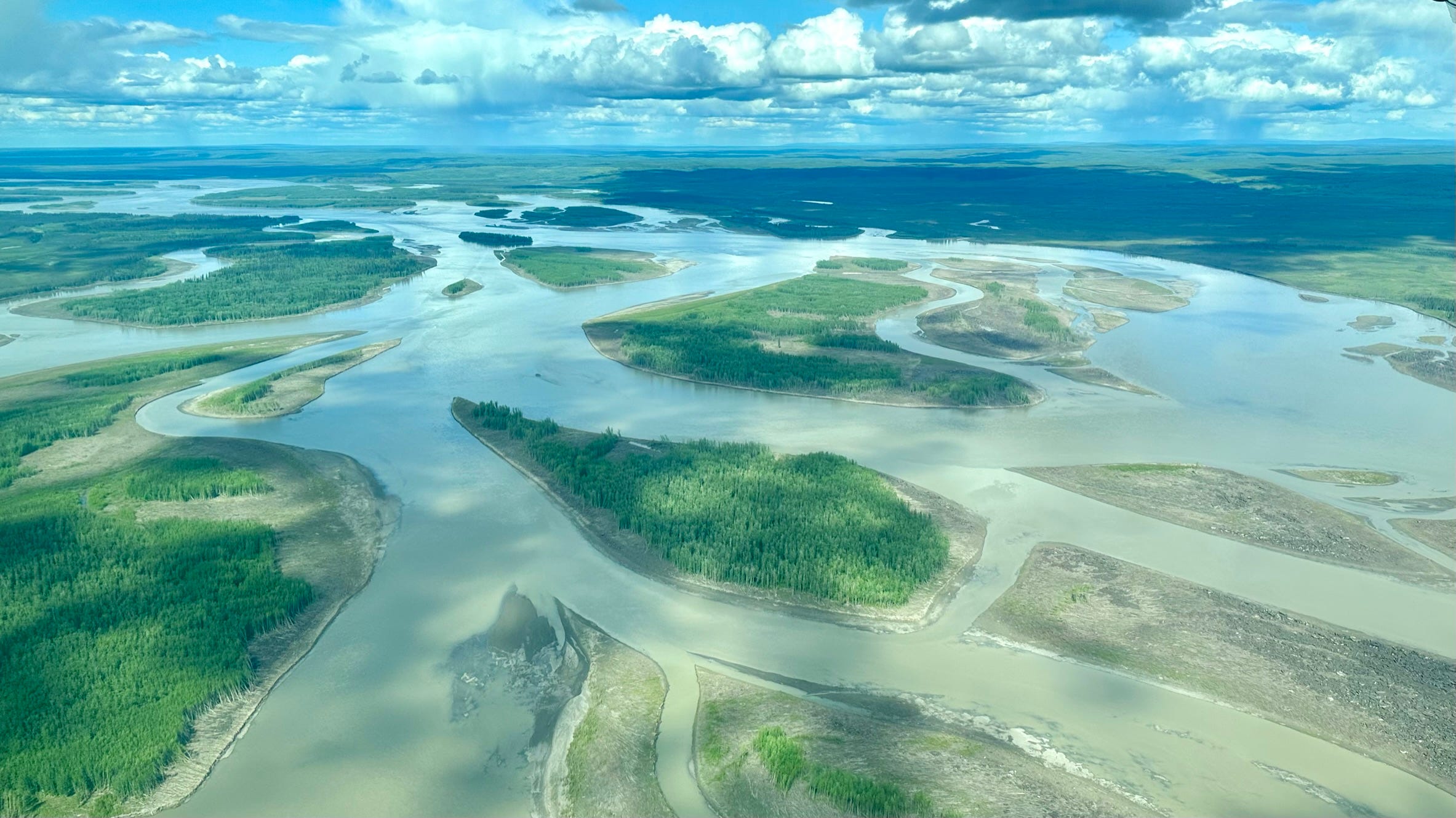 A Cheechako on the Chena - by Michael Brumage, MD, MPH