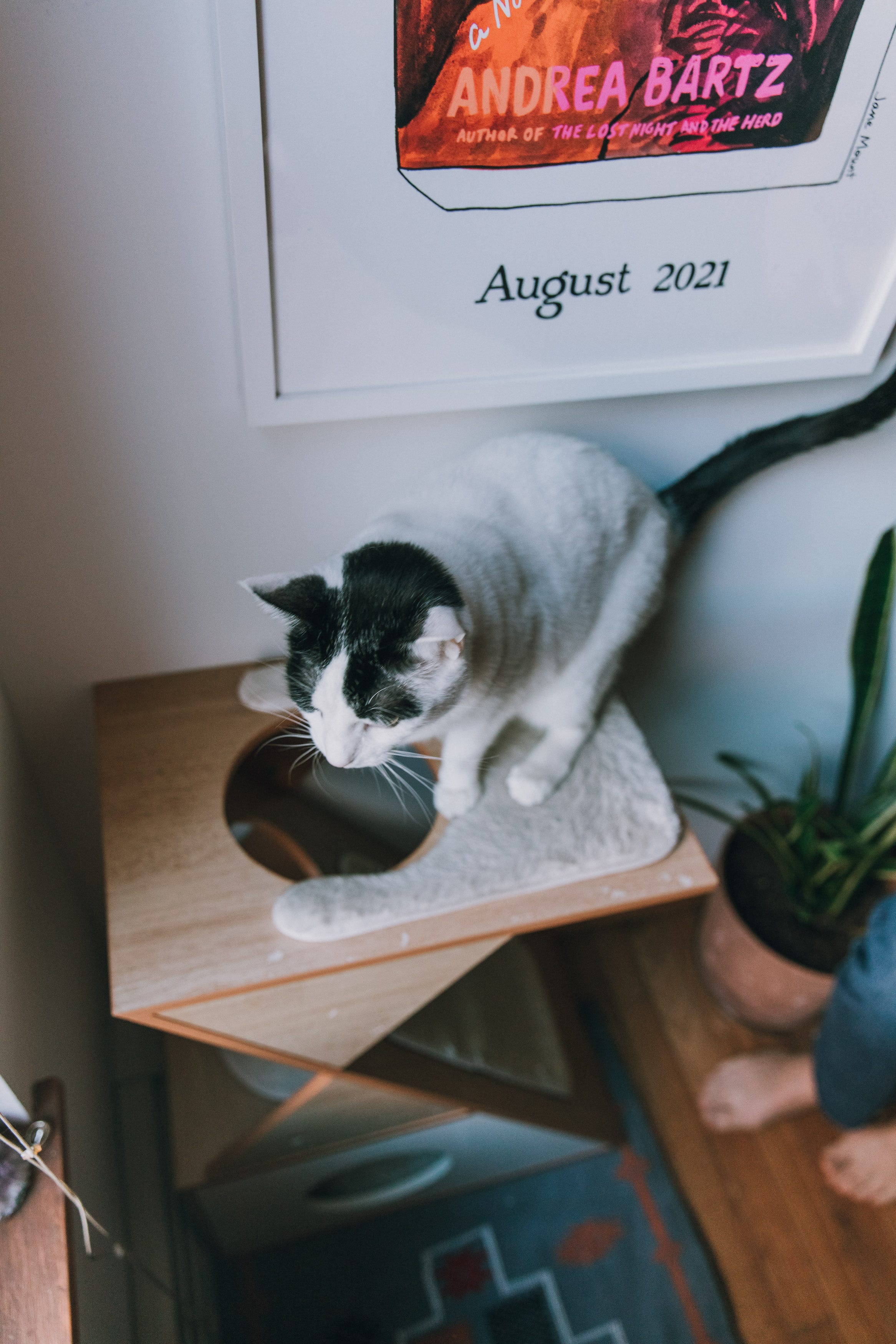 Desk Tour: Andrea Bartz - by Olivia Muenter