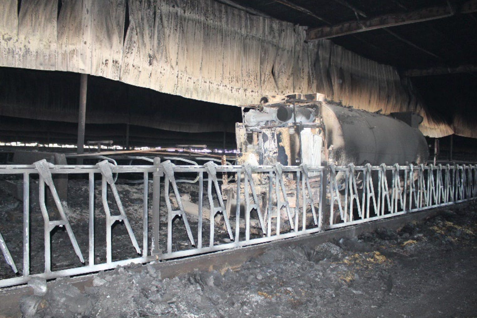 The dash for biogas and the death of 18,000 cows