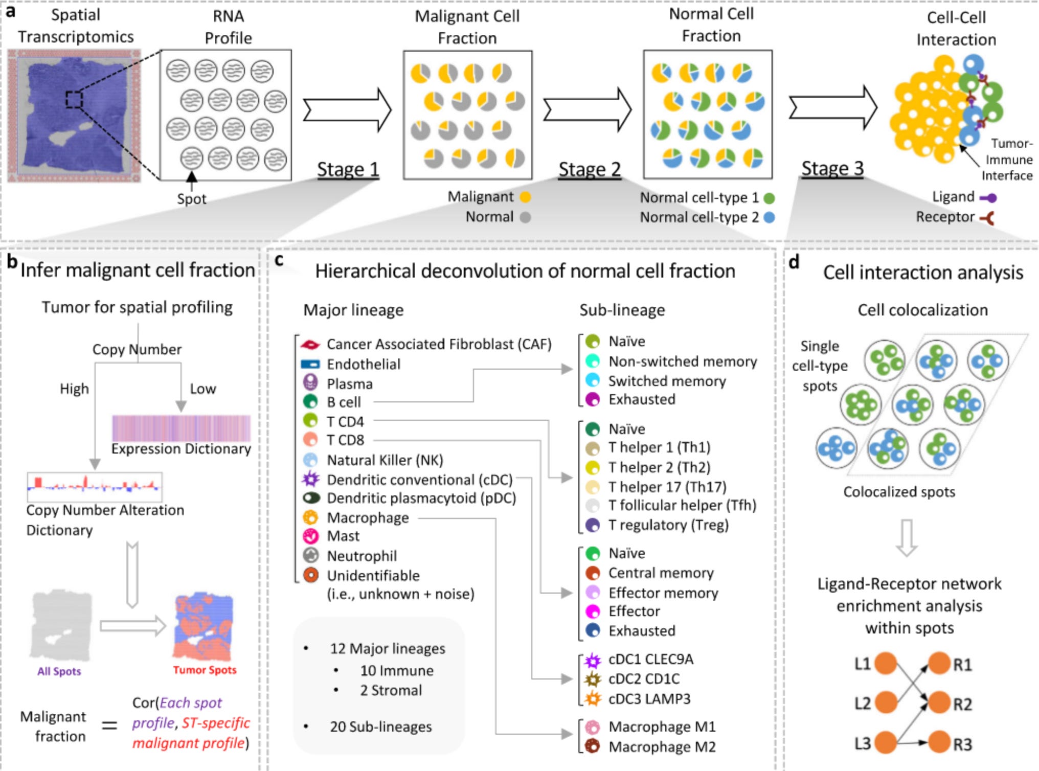 Every cell talks: How Spatial transcriptomic tools are trying to decode ...