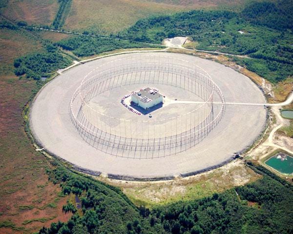 The Gander "Turkey Farm" - by Formulated Curiosity