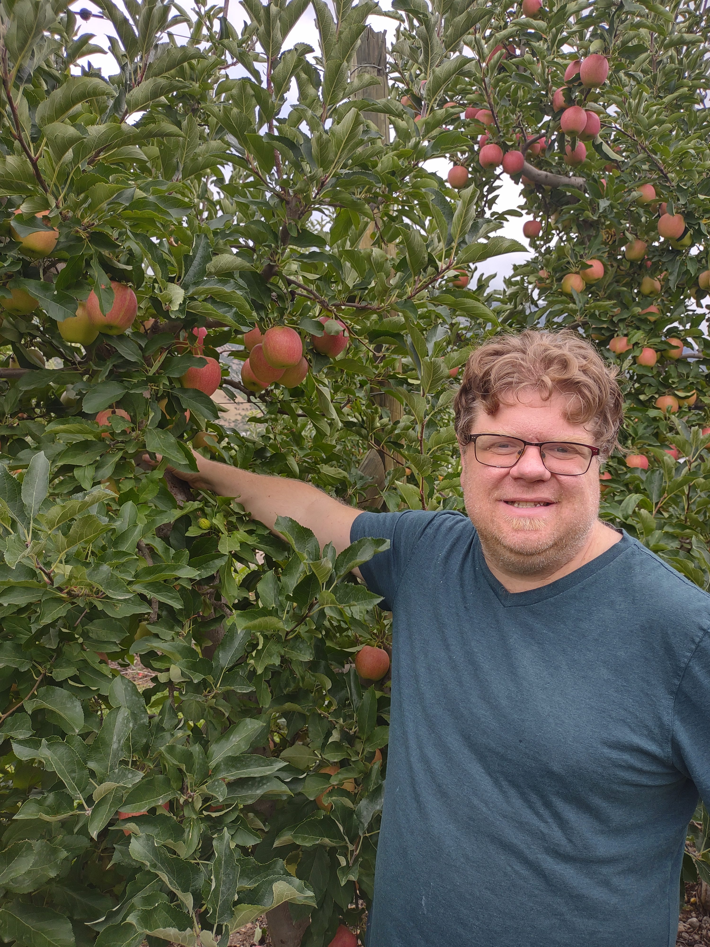 Welcome to the New What Apple to Eat Today