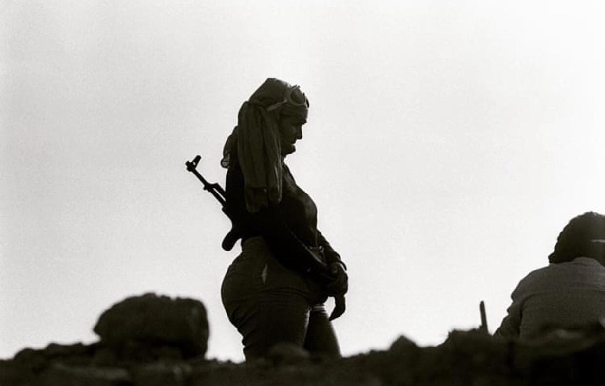 Resilience and Resistance through the Sahrawi Woman: The Struggle of ...