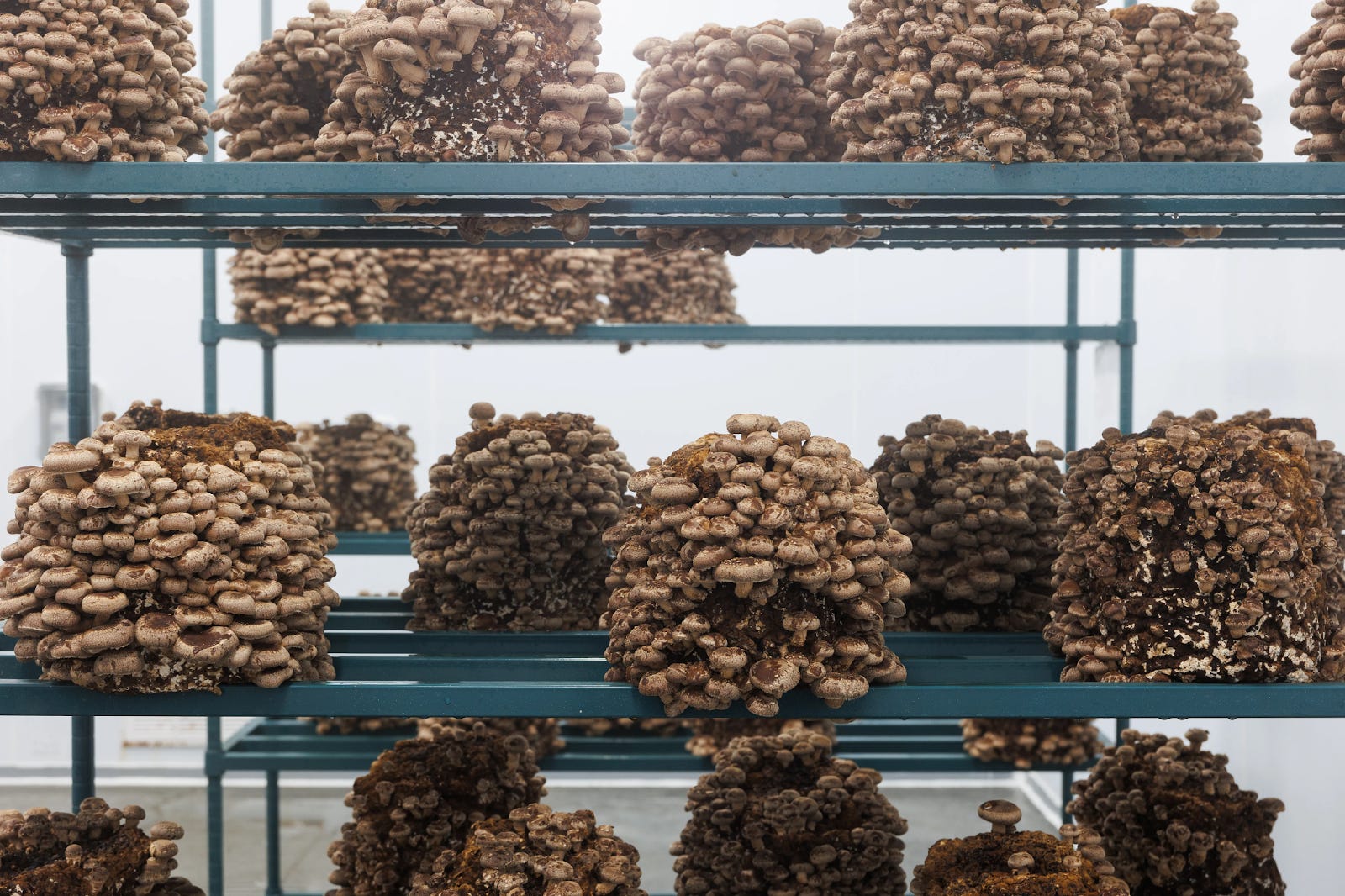 NY Climate Tech by Alec Turnbull & Sonam Velani | Substack