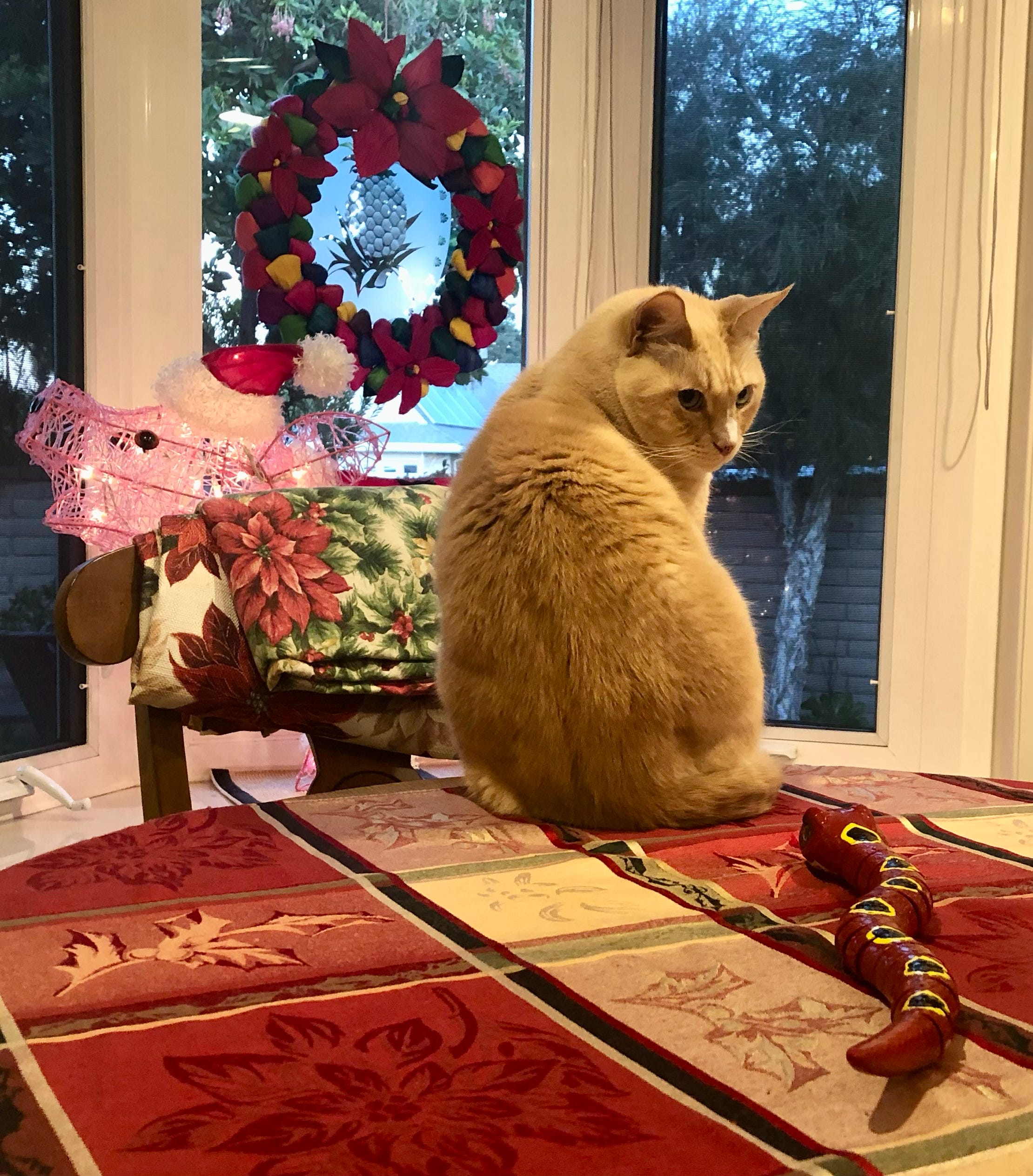 Gumbo Weather - by Mary Camarillo - Life With Riley