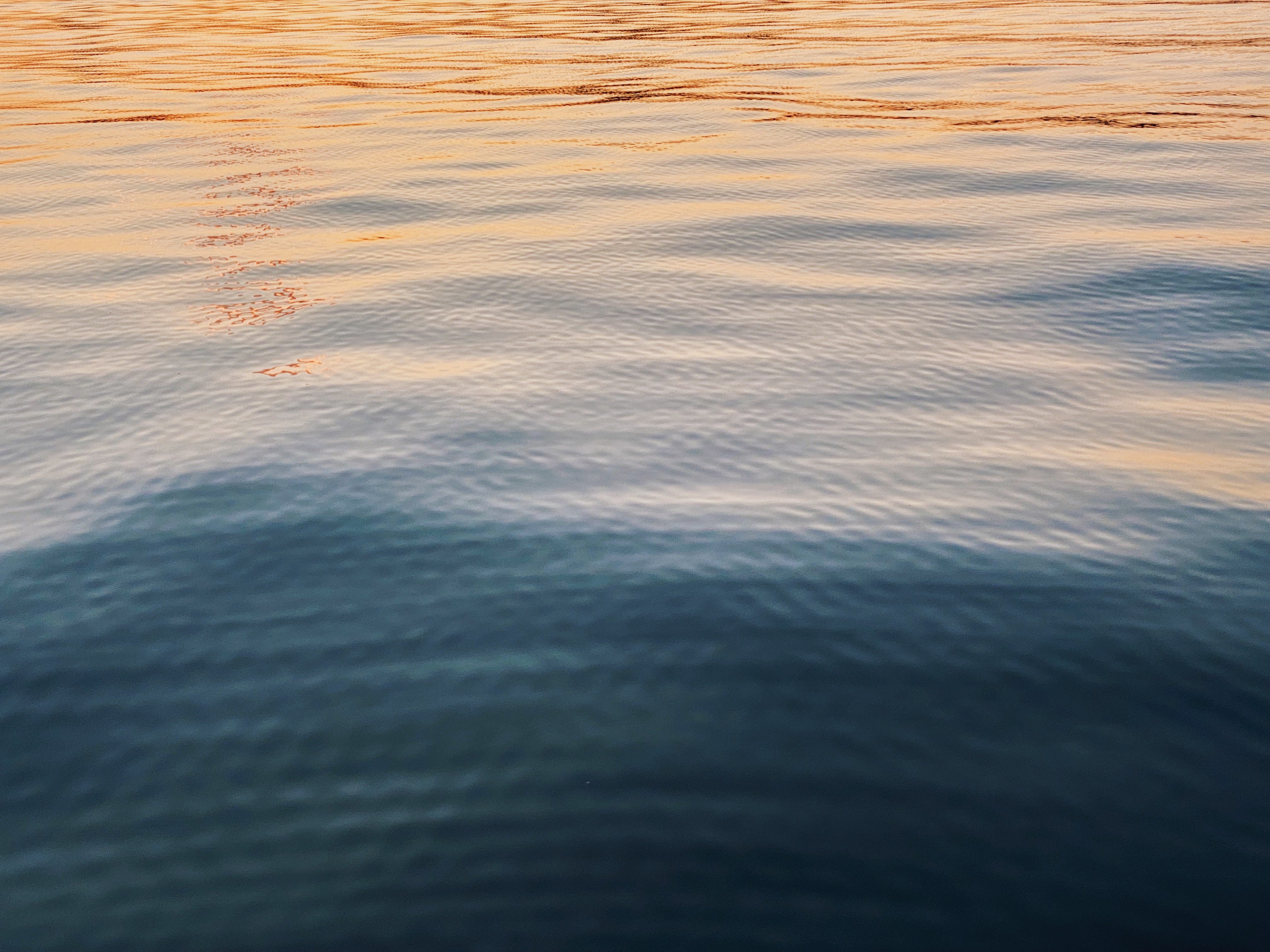 The aliveness within - Isabel Nao