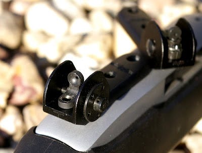 Ruger 10/22 Tech Sights Review