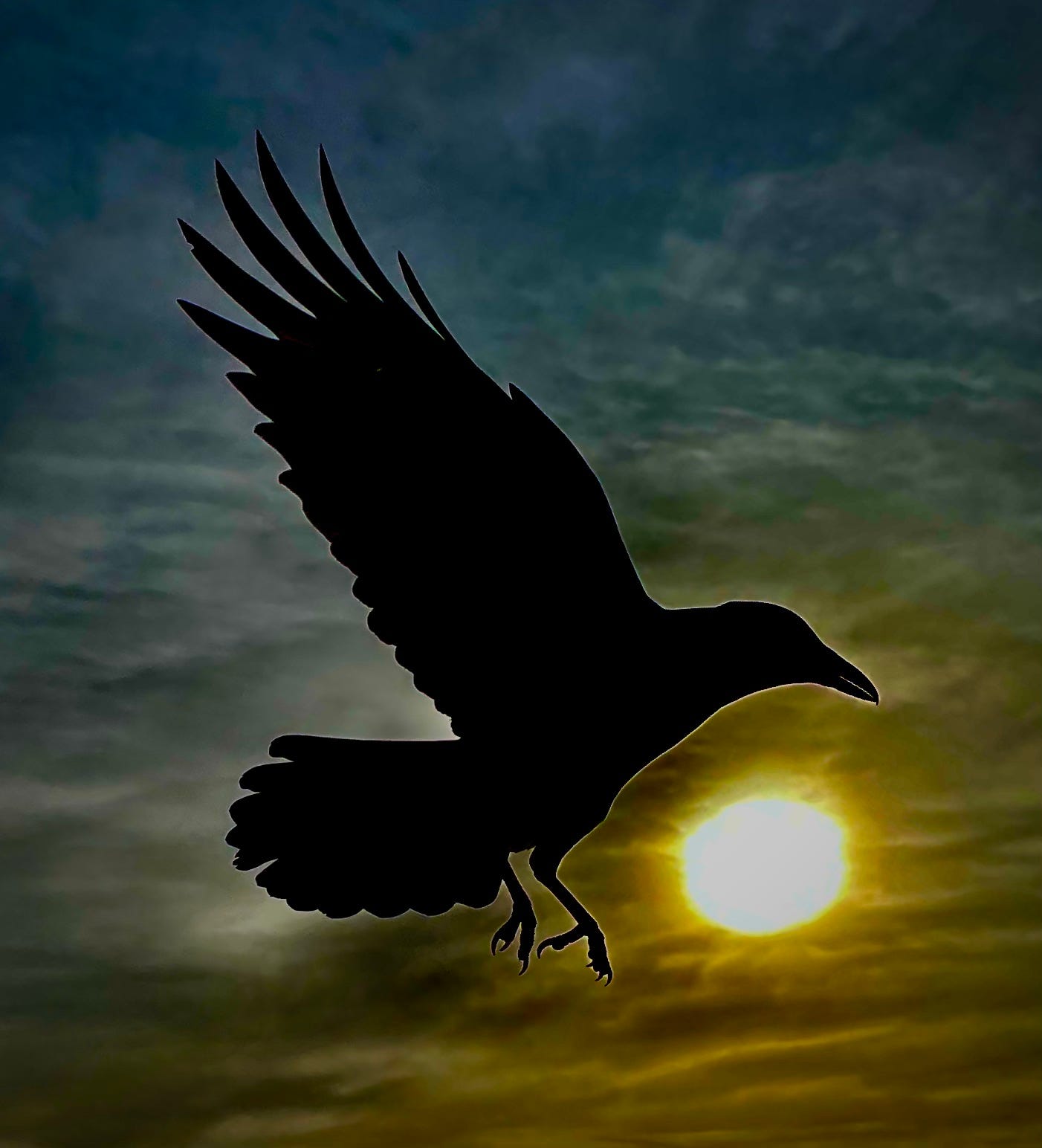 AUDIO - The Shimmering Delicacy Of All Things