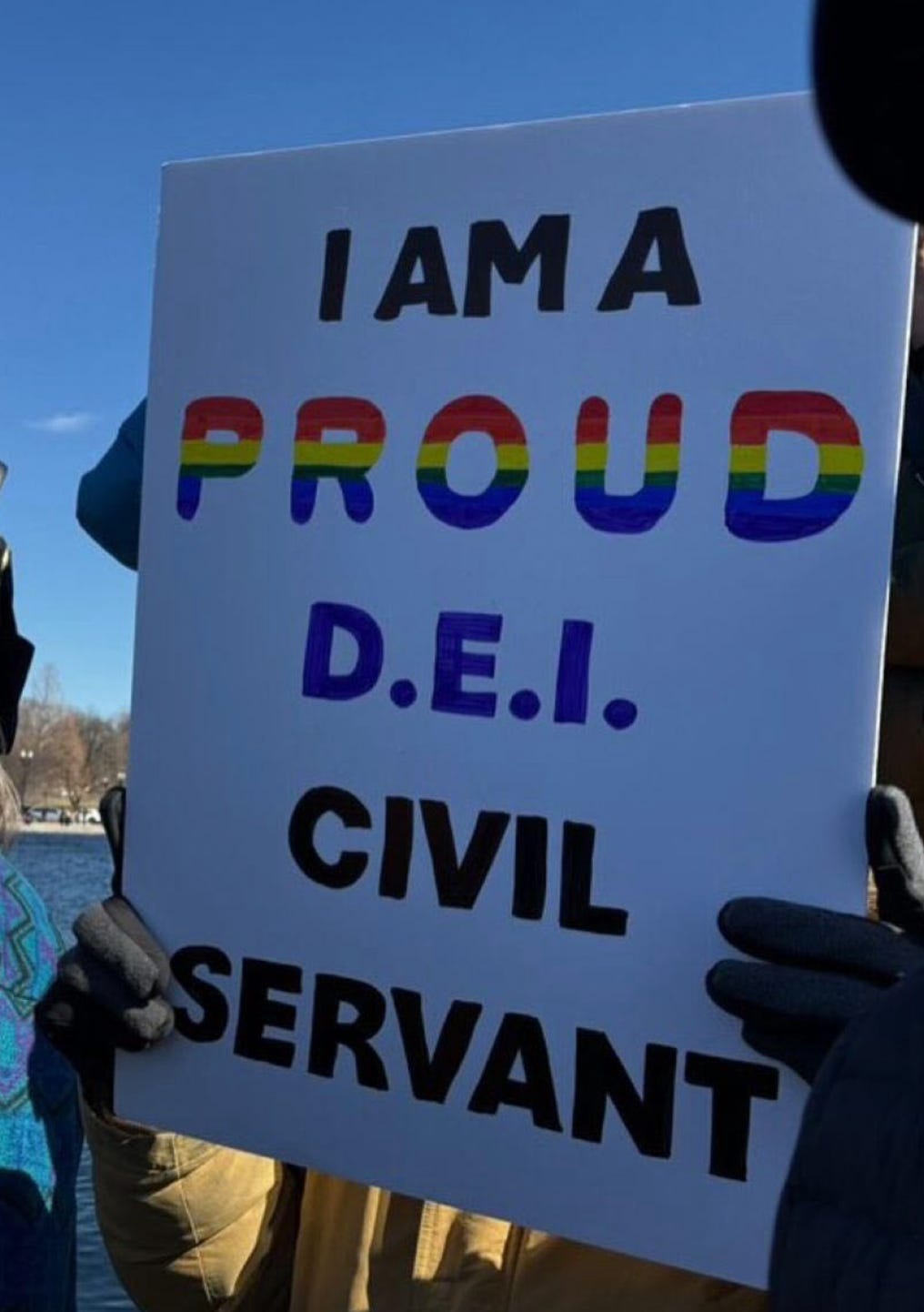 Women Will Save Our Democracy By Public Servant