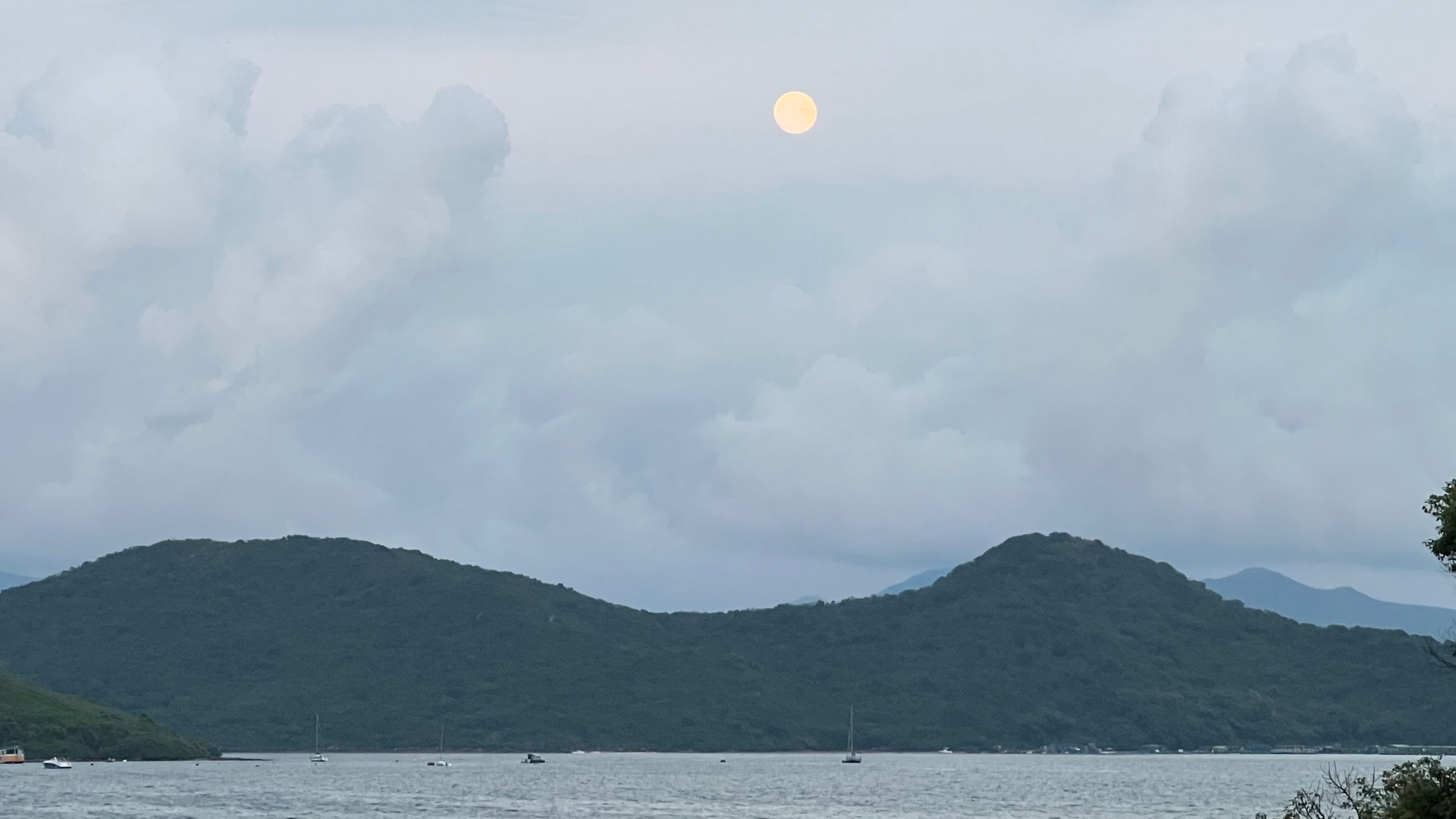 5月35日的喃喃自語 - by 閭丘露薇 Rose Luqiu - 閭丘露薇’s Substack