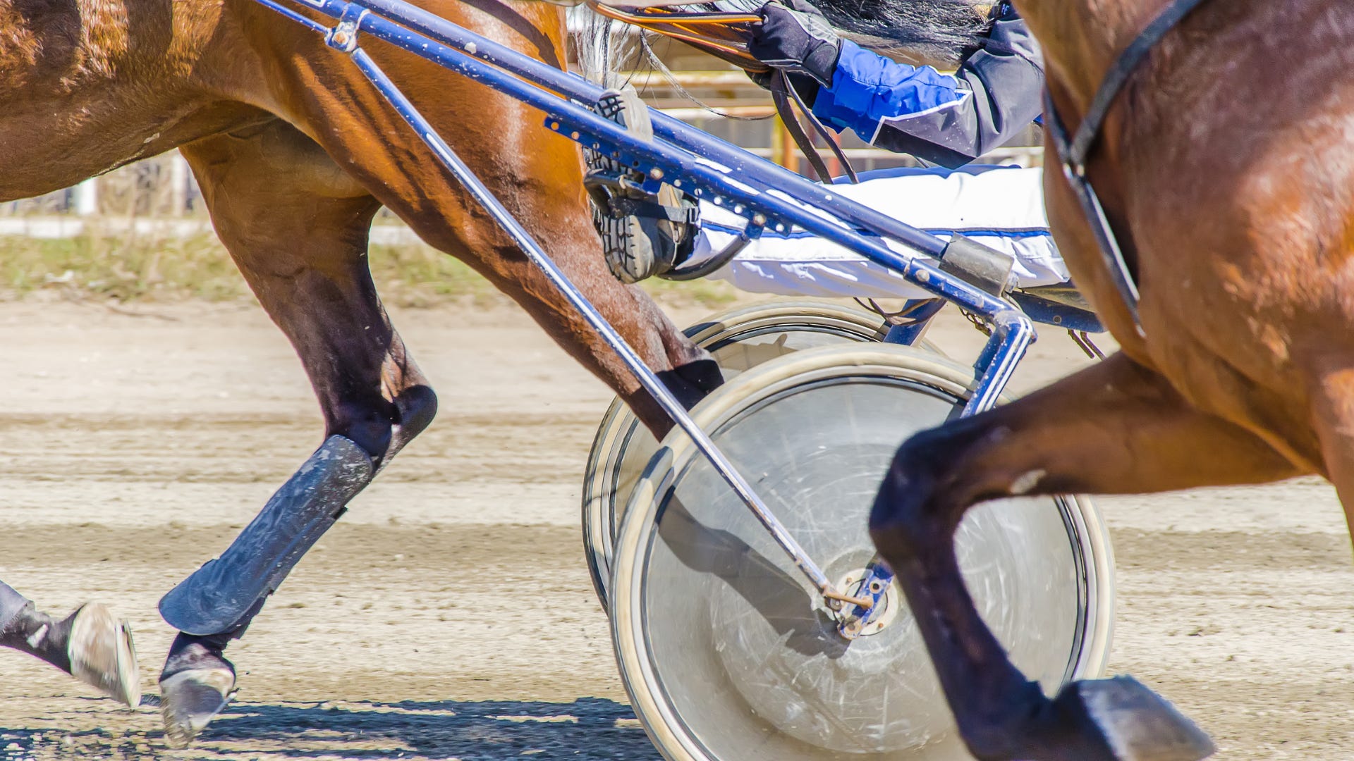 The Southland Tribune; Edition #174 - The Southland Tribune