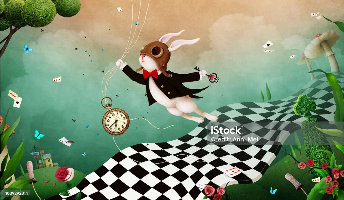 The smirking rabbit - by Steve McKennon - Pasqua's Shack