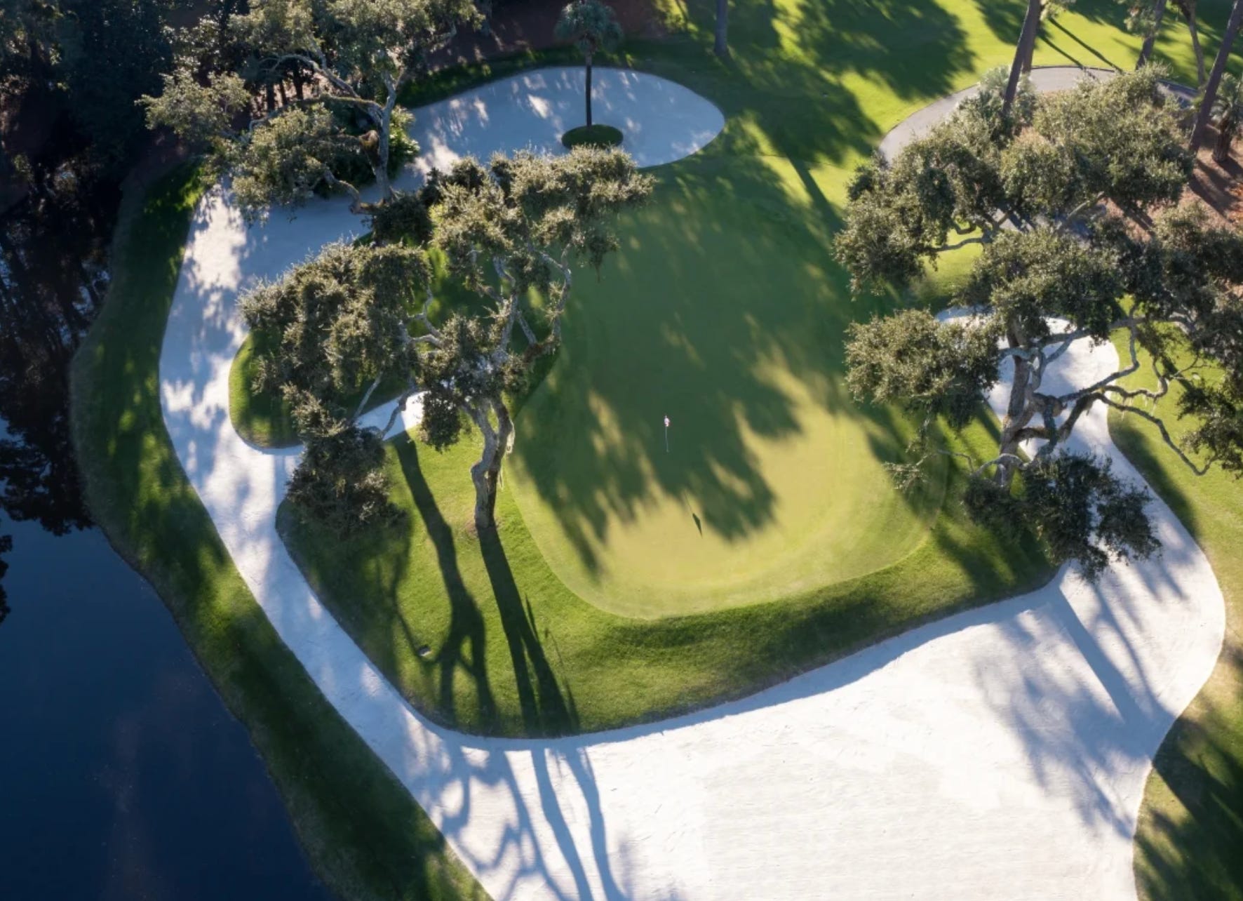 RBC Heritage - by Eric - Turf