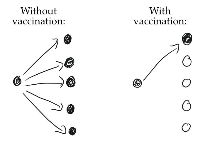 Measles, herd immunity and the risk of outbreaks