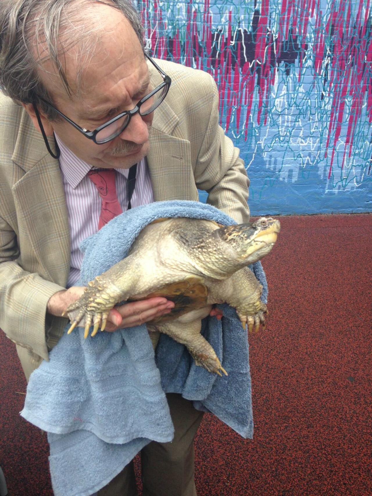 Meet the Turtles That Hibernate in Mini-Fridges and Cruise in Barbie ...