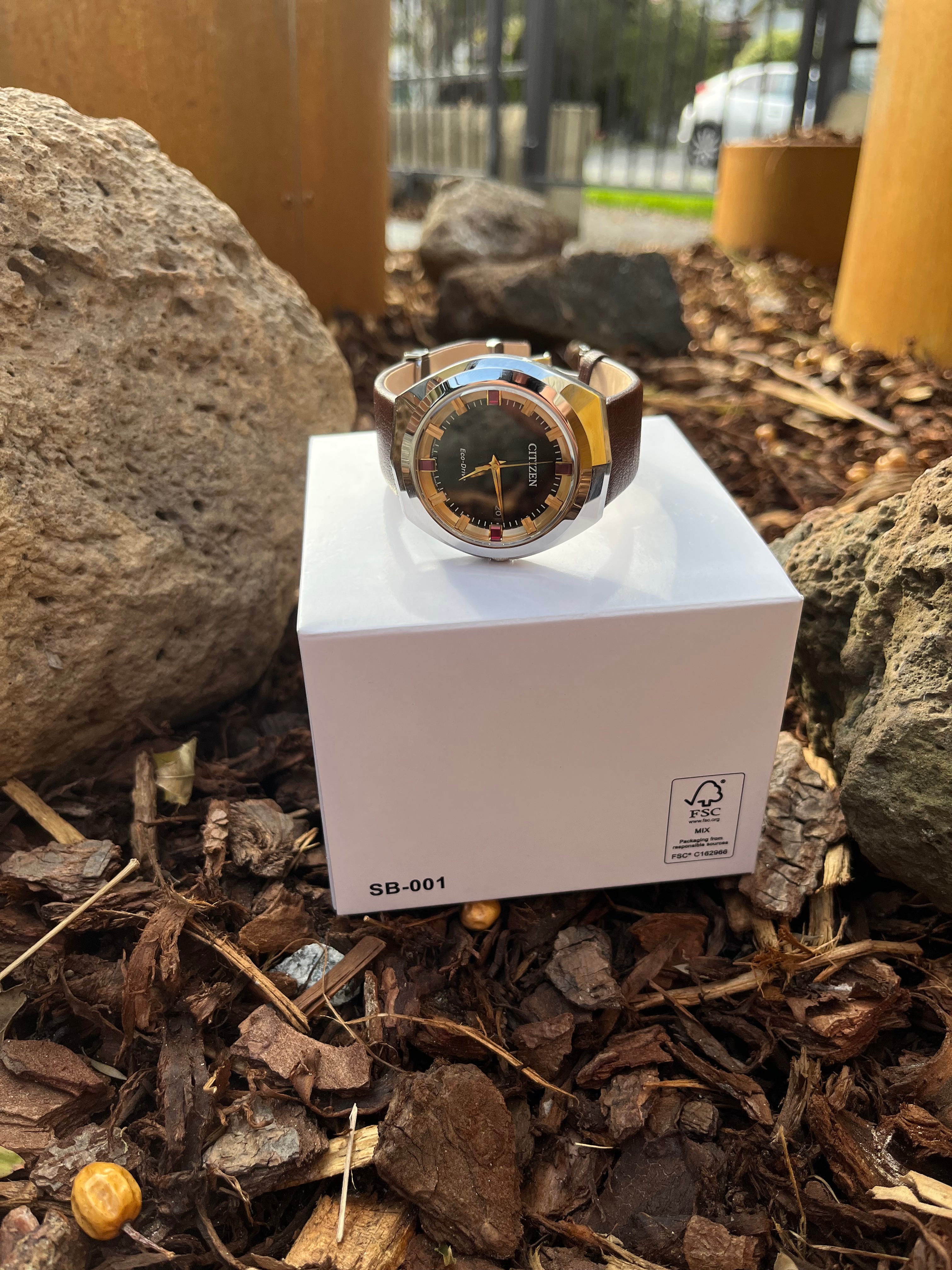 Citizen BN1010-05E - by Alex Boz - The Gnomonist