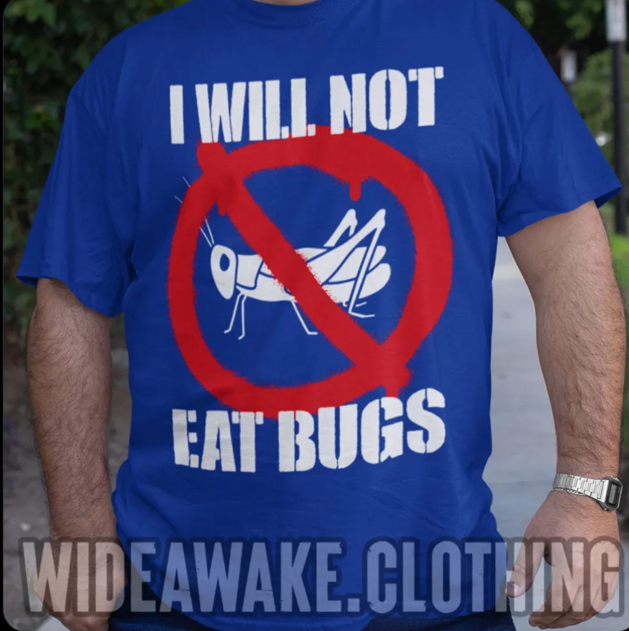 ENTOMOPHAGY: The Human Consumption of Insects Has Begun, The European ...