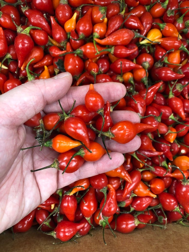 My guide to building a thoughtful dessert - by Ethel Koh