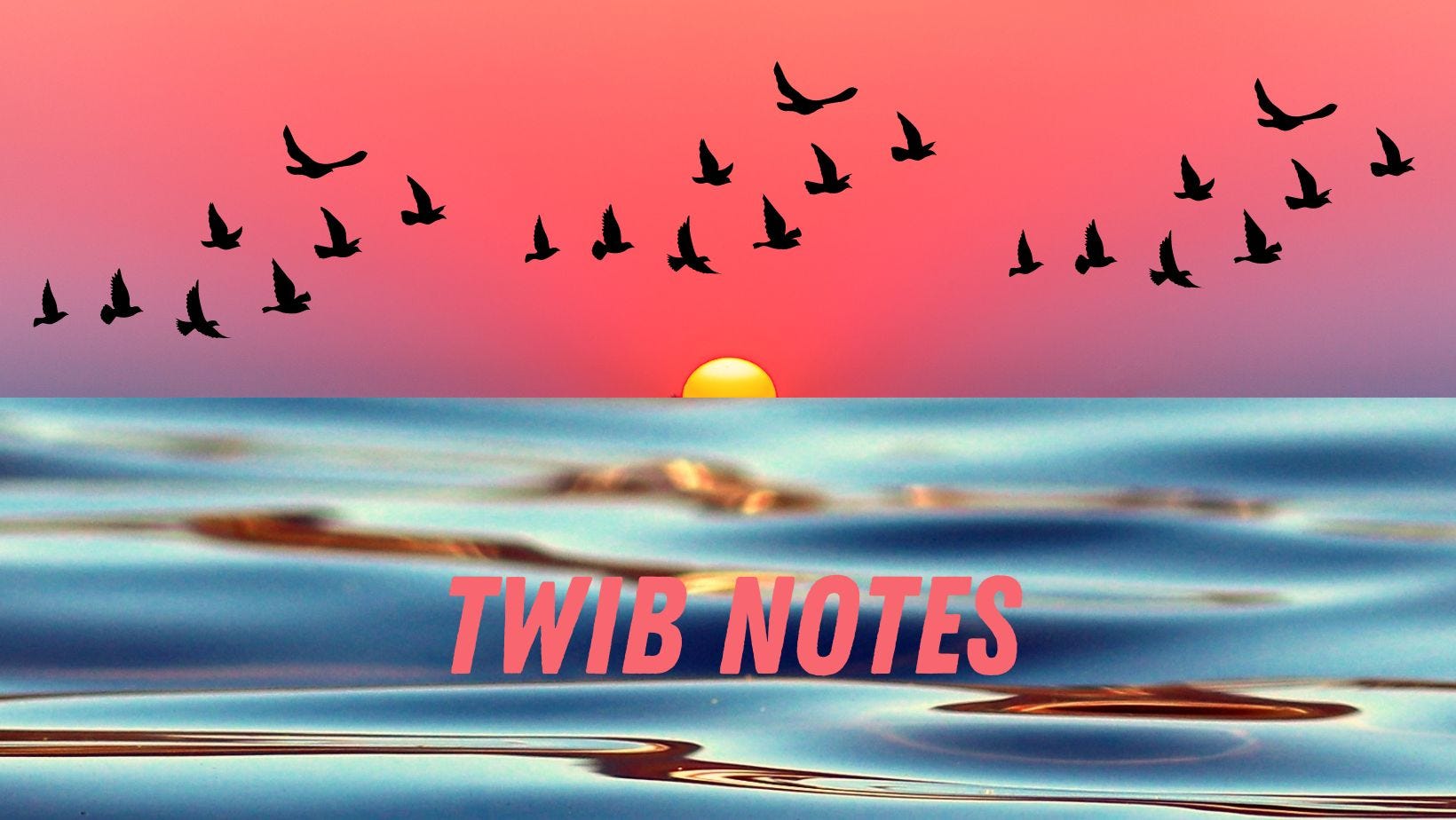 TWiB Notes: Bird collisions, another urban owl, and plover news