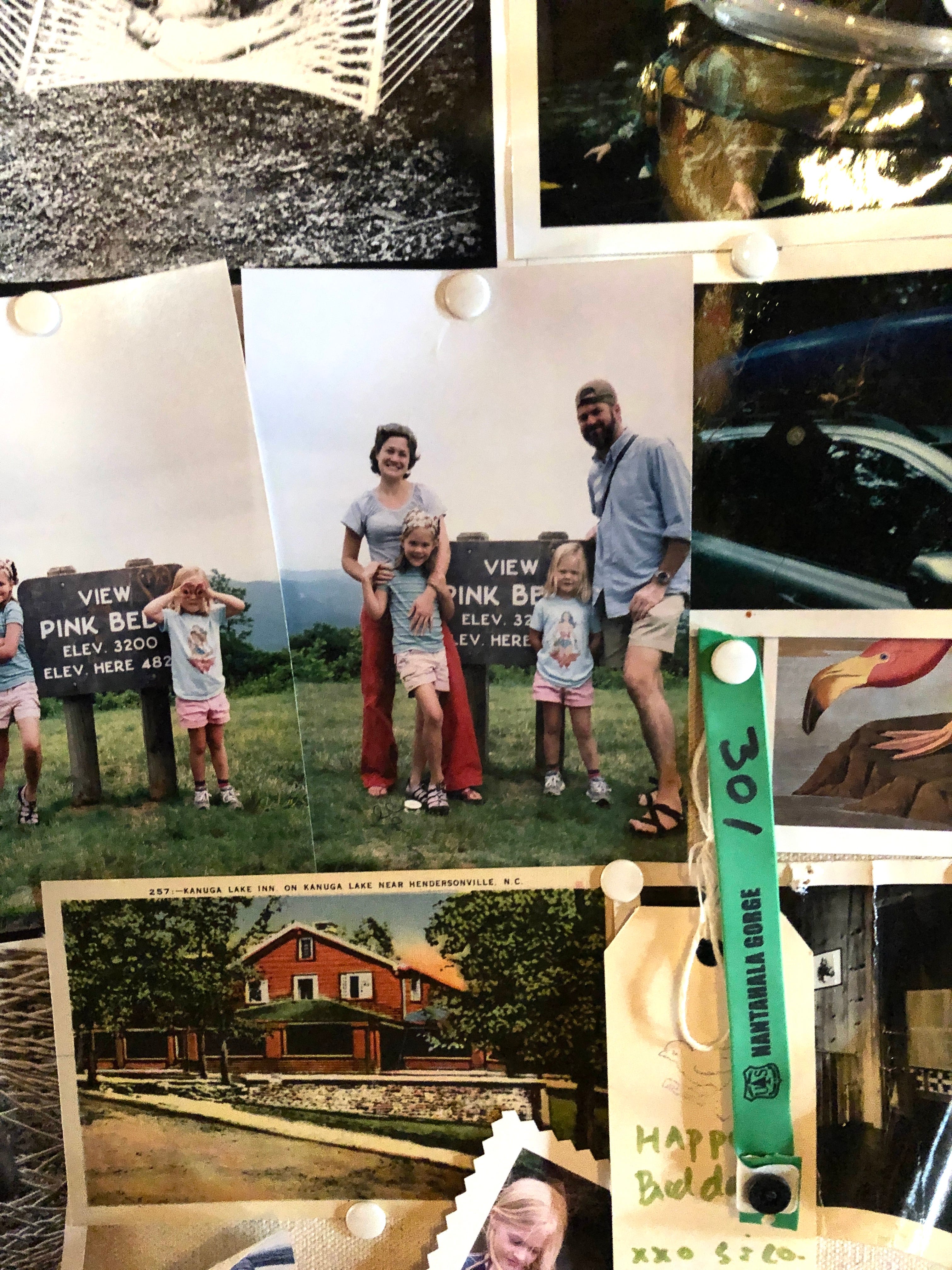 Support WNC - by Lulu Graham - Outfit Dissecting