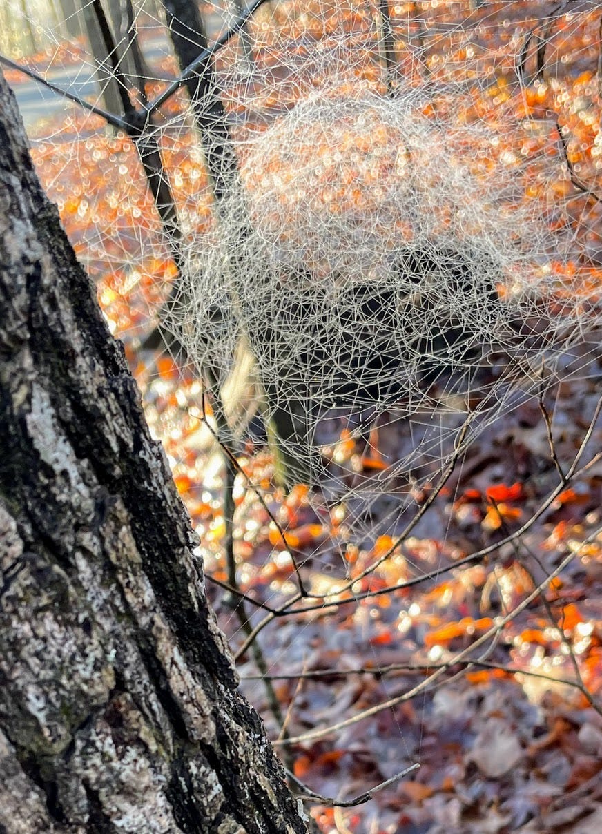 Steady.... - With and Wonder - Chris Rhoden