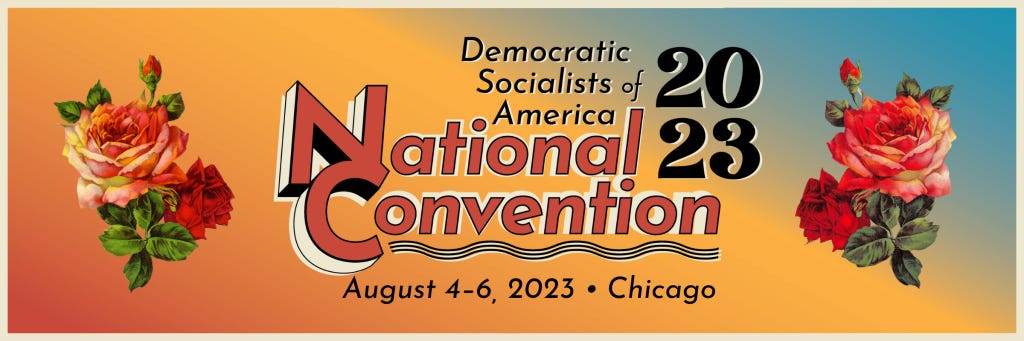 Inside the 2023 DSA Convention - by Matthew J. Haugen