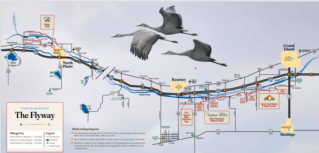 The Magical Mystery of Sandhill Cranes - by Deb Sinness