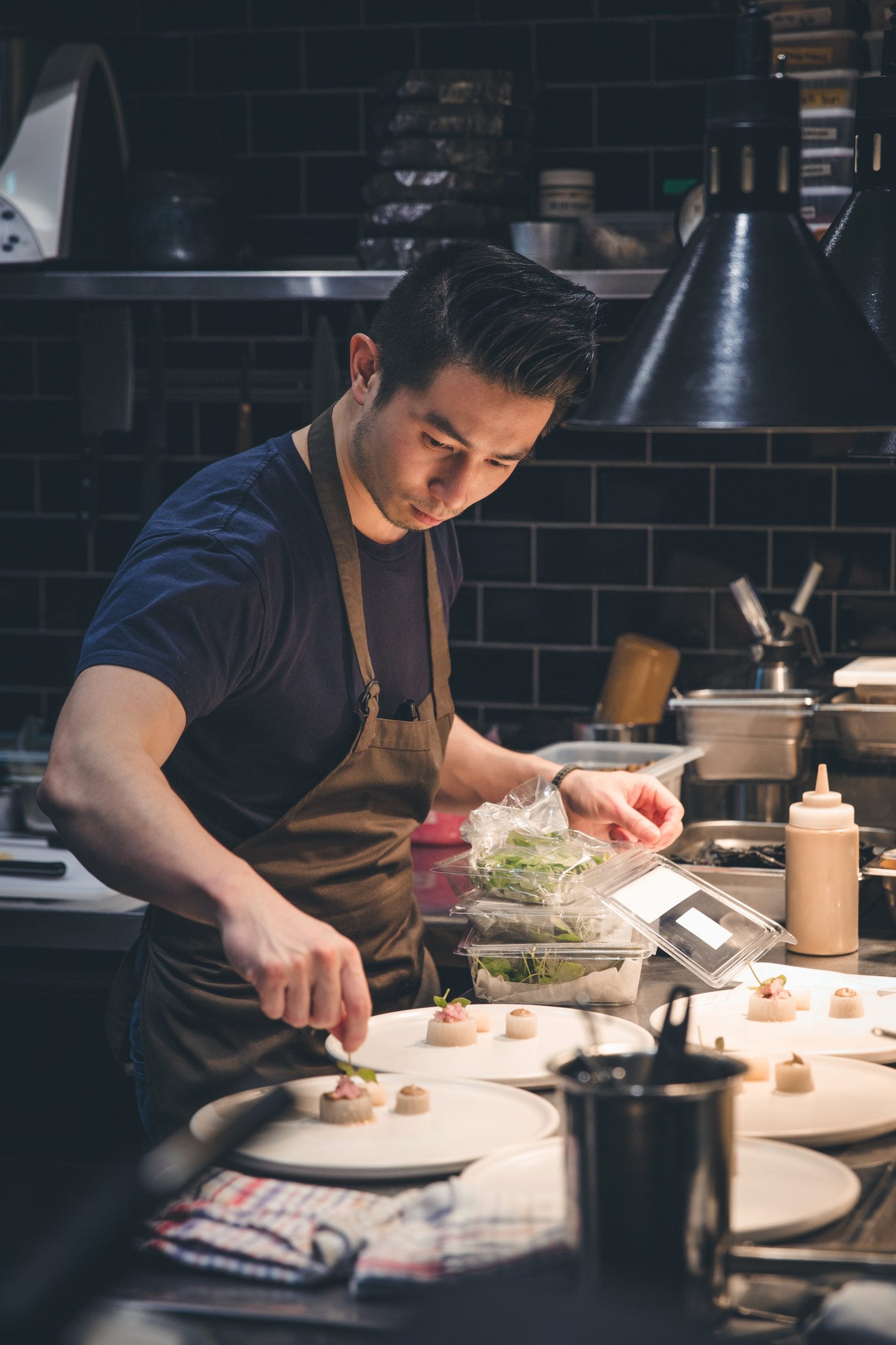 Programming as Theory Building. Peter Naur.