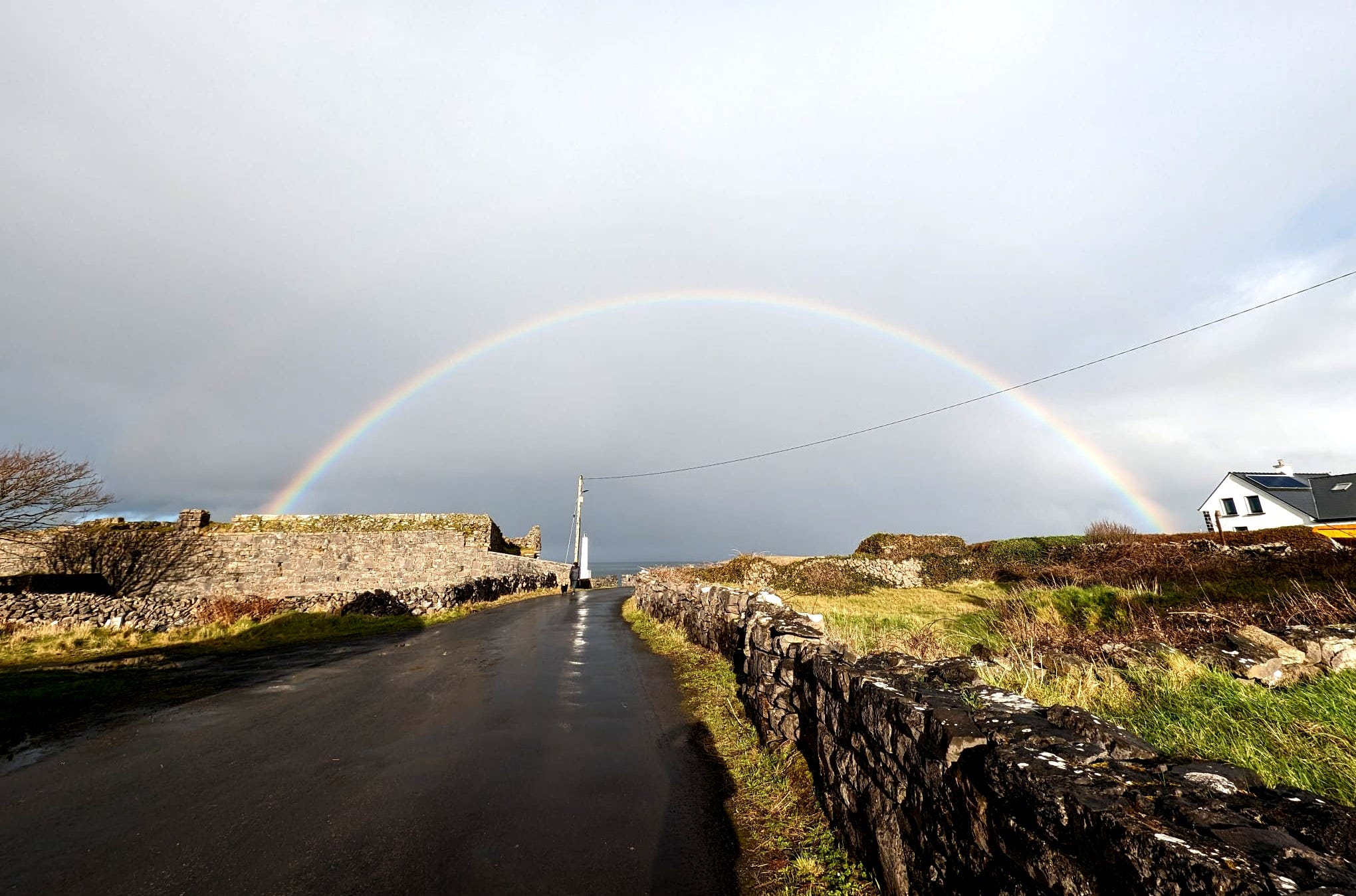 On one of the weirdest years of my life - by Megan Roantree