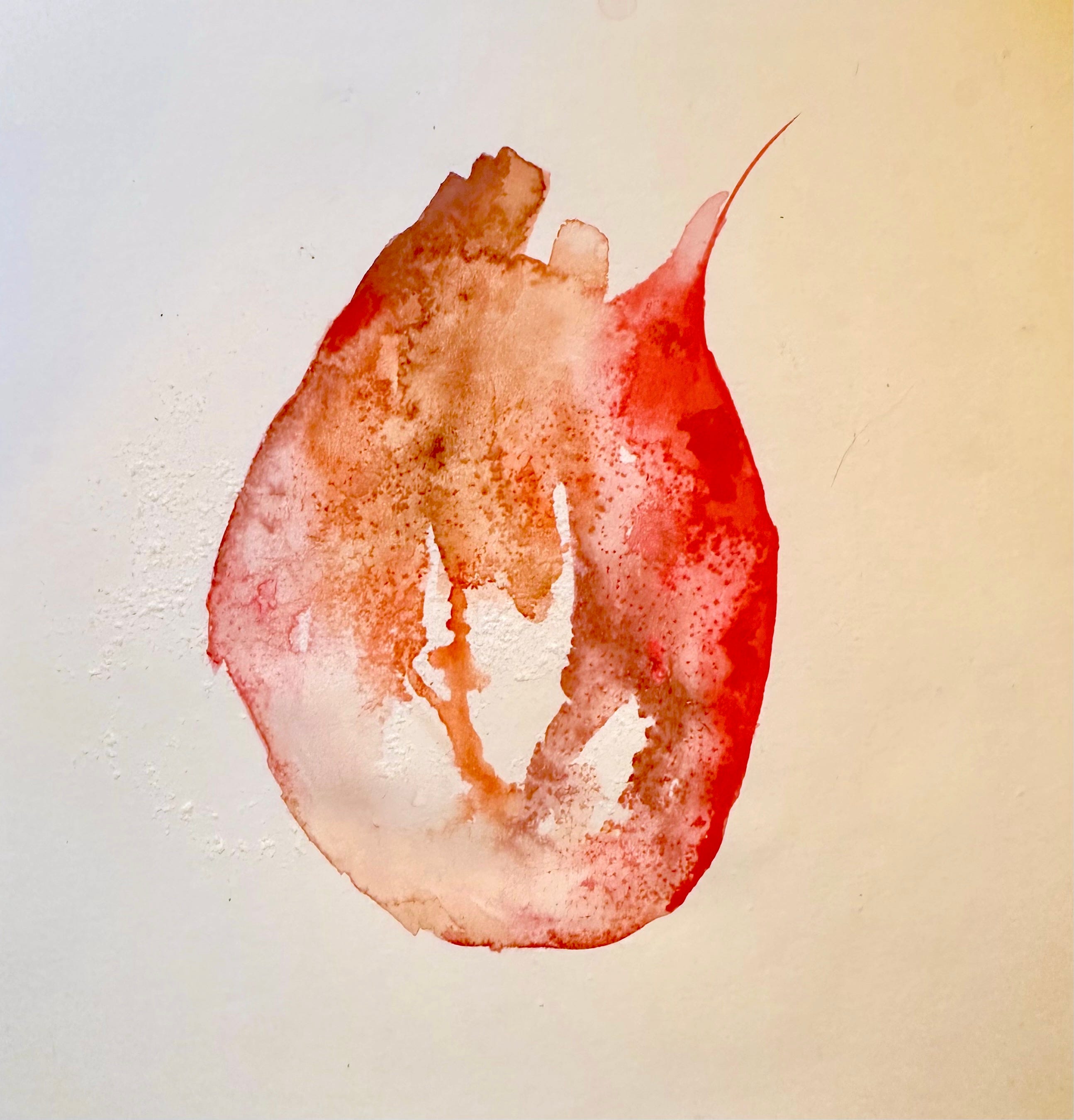 The Purge - Kimbra’s Substack