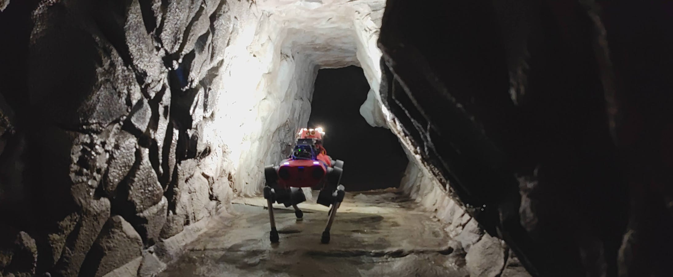 The 2024 Startup Pirate Year In Review