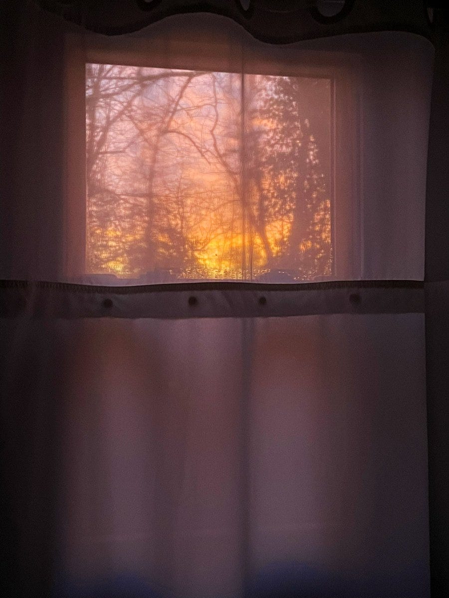 SCARY COOL SAD GOODBYE 55 - by Meaghan Garvey