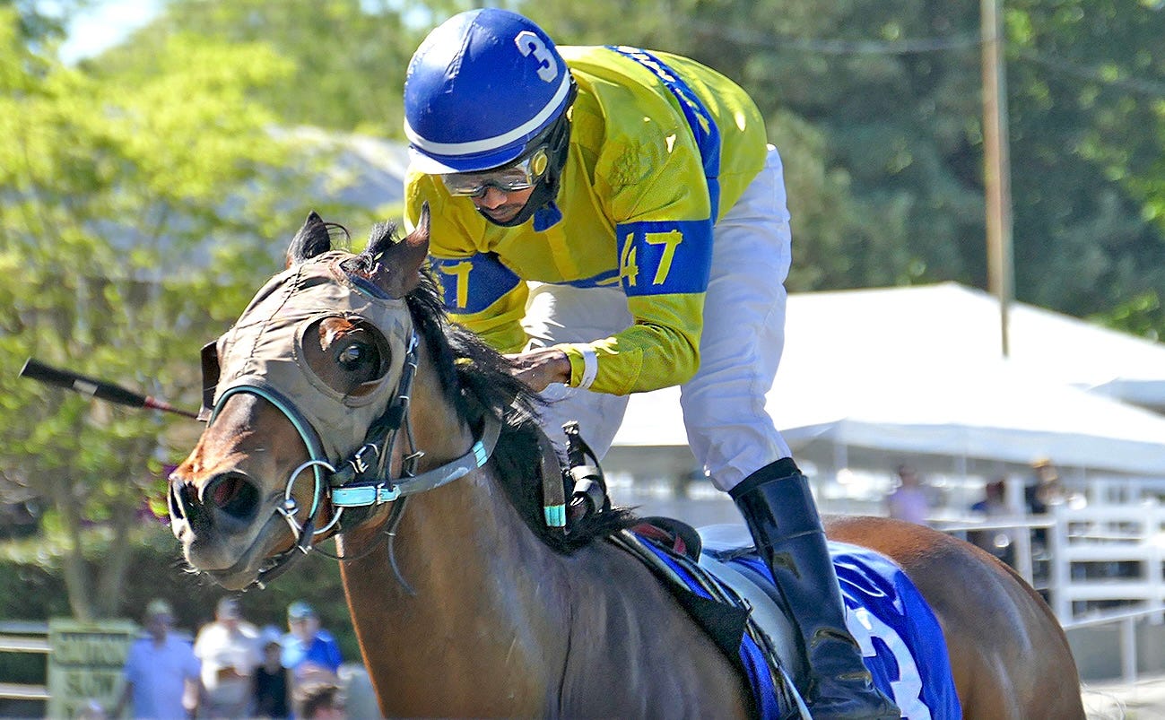 Saturday's Previews - by Nigel Reid - Horseracing BC