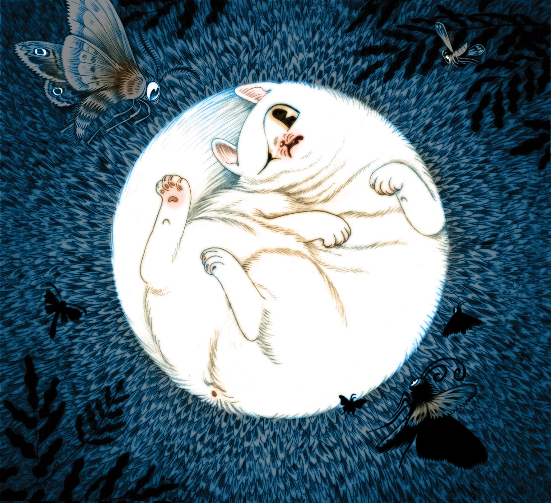 The Illustrious Illustrator - by Etgar Keret