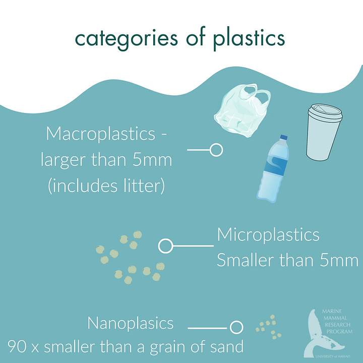 Plastic Free July - 12 Years on... - MMRP’s Substack