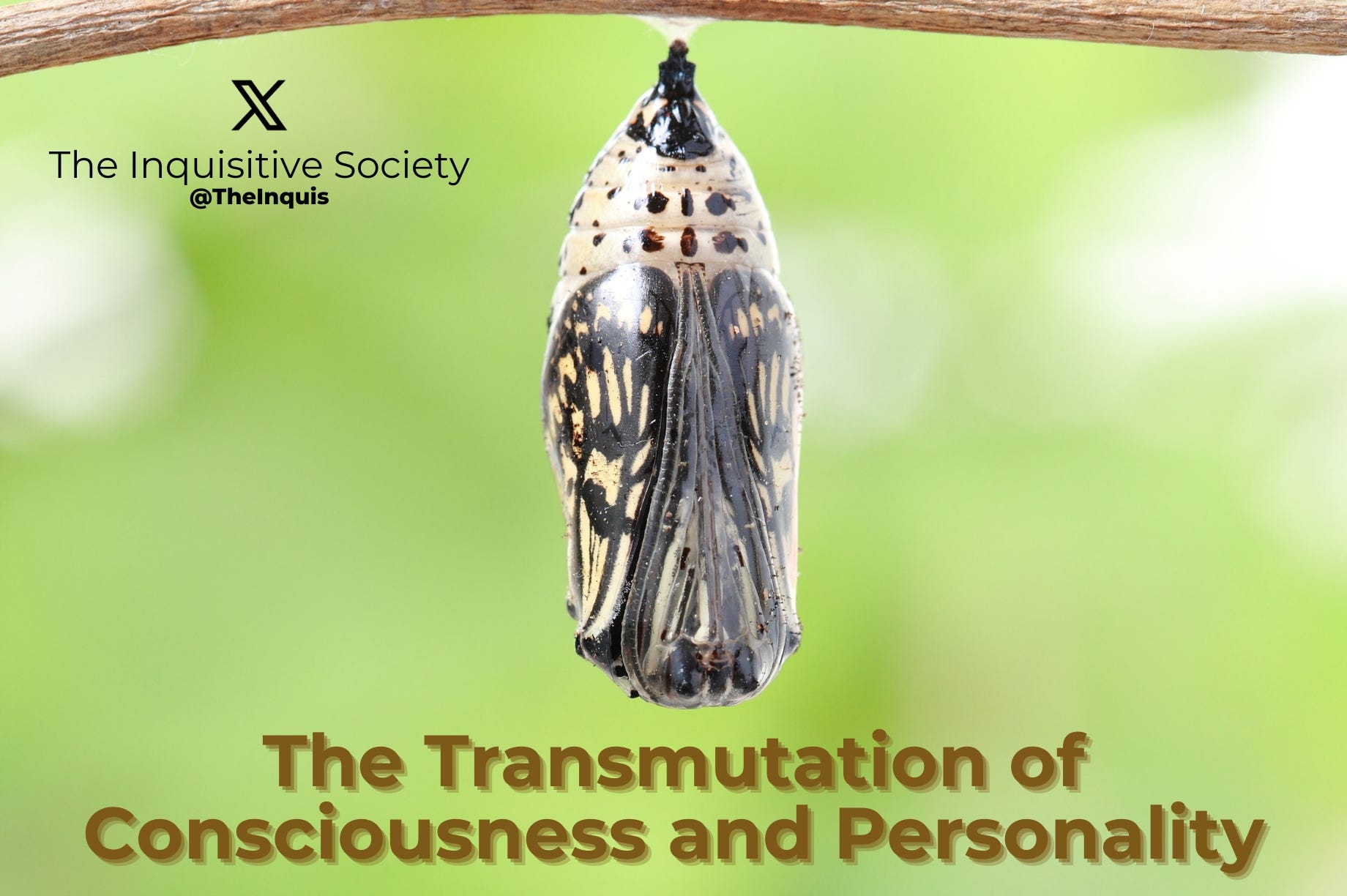 The Transmutation of Consciousness and Personality