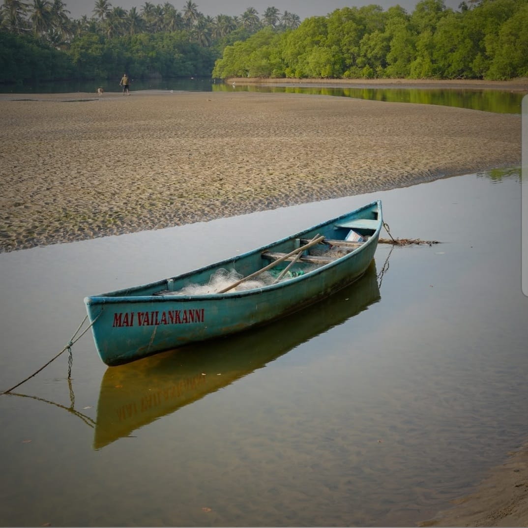 The Absent Host - by Tara Thompson - Tara’s Substack