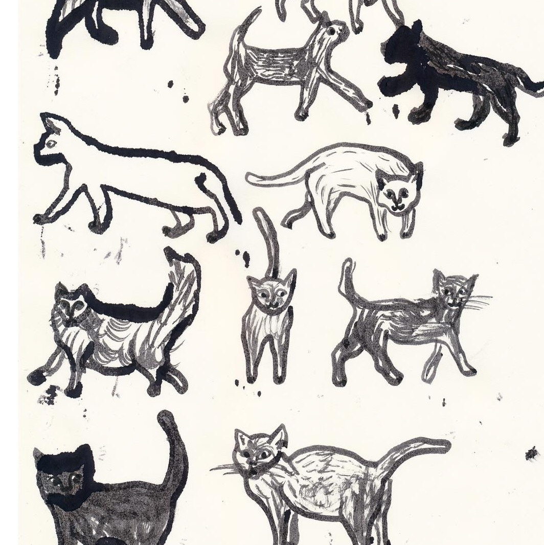 Emily May | Substack